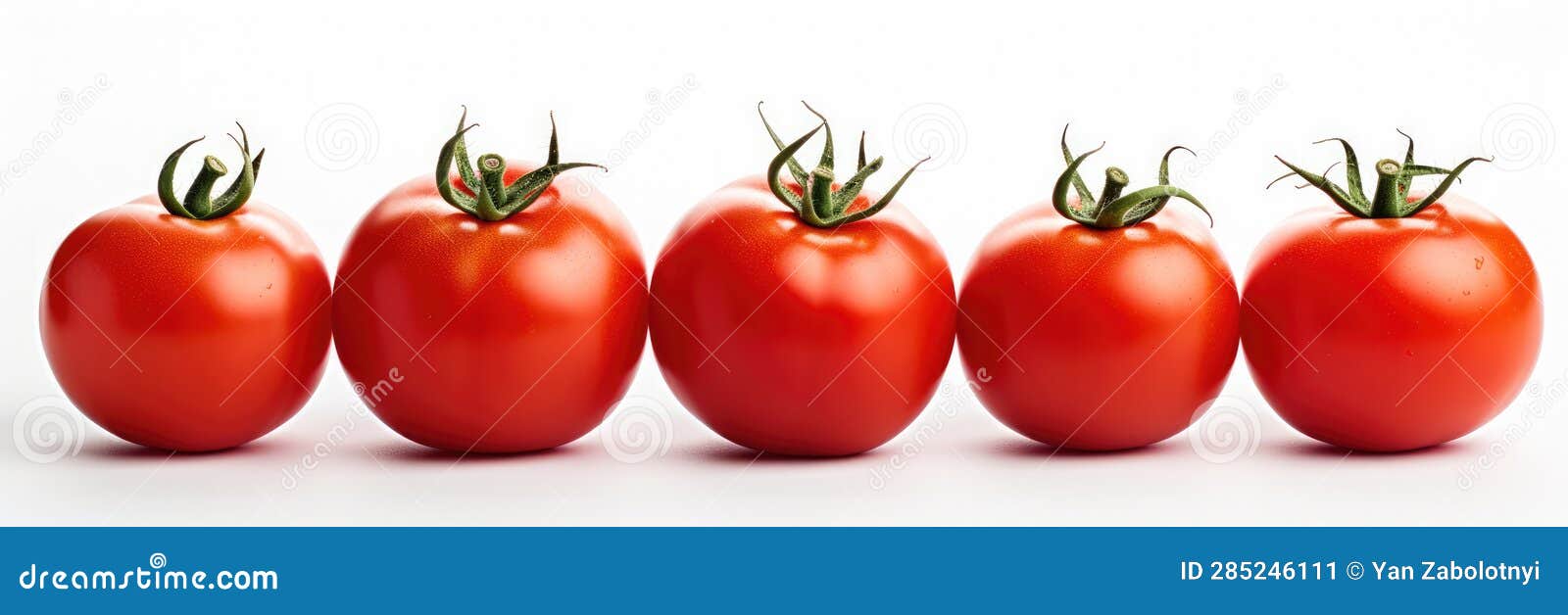 Five Tomatoes Lined Up in a Row on a White Background Stock ...