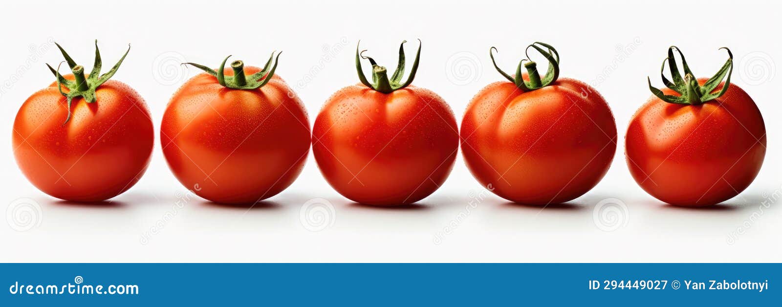 Five Tomatoes Lined Up in a Row on a White Background Stock ...