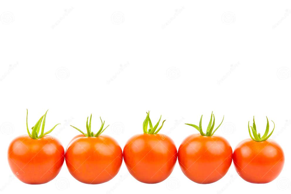 Five Tomatoes 5 stock image. Image of ripe, vegan, vegetables - 34186875