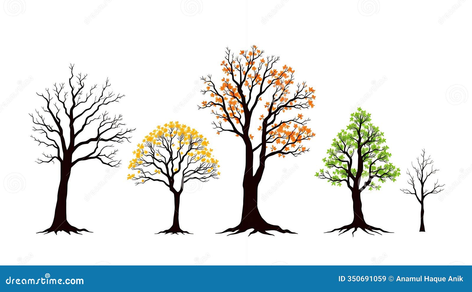 Five Trees in Various Stages of Growth from Bare Branches To Full ...