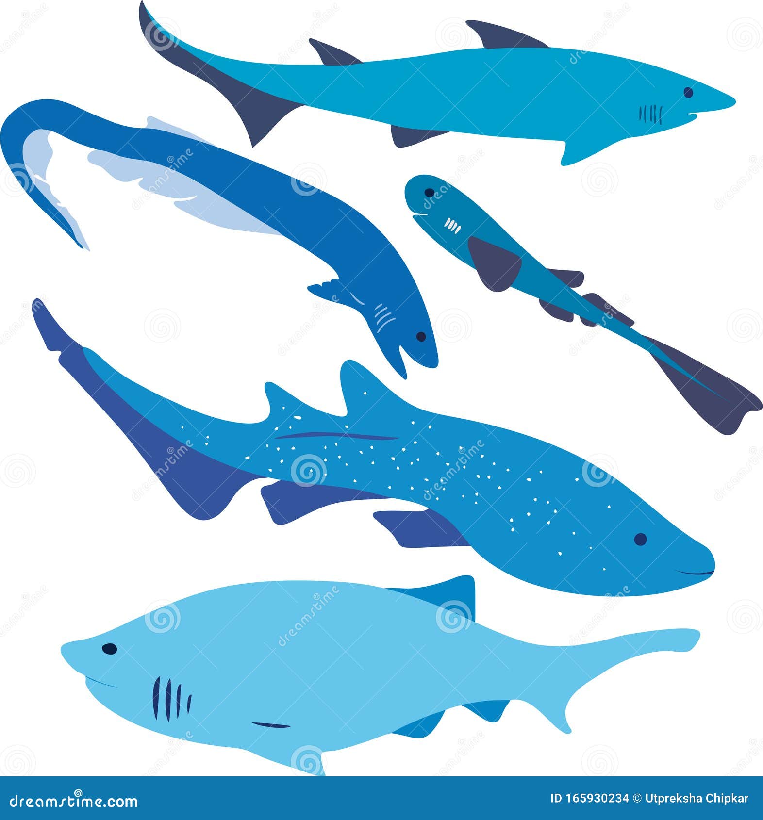 Types Of Sharks. Big Set Of Hand Drawn Illustrations In Retro Engraving ...