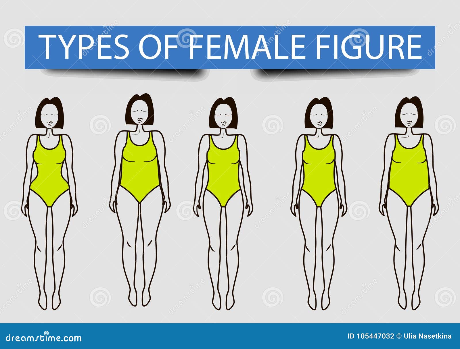 Five Types of Female Figures, Vector Image Stock Vector - Illustration ... Five Types of Female Figures, Vector Image Stock Vector - Illustration ...