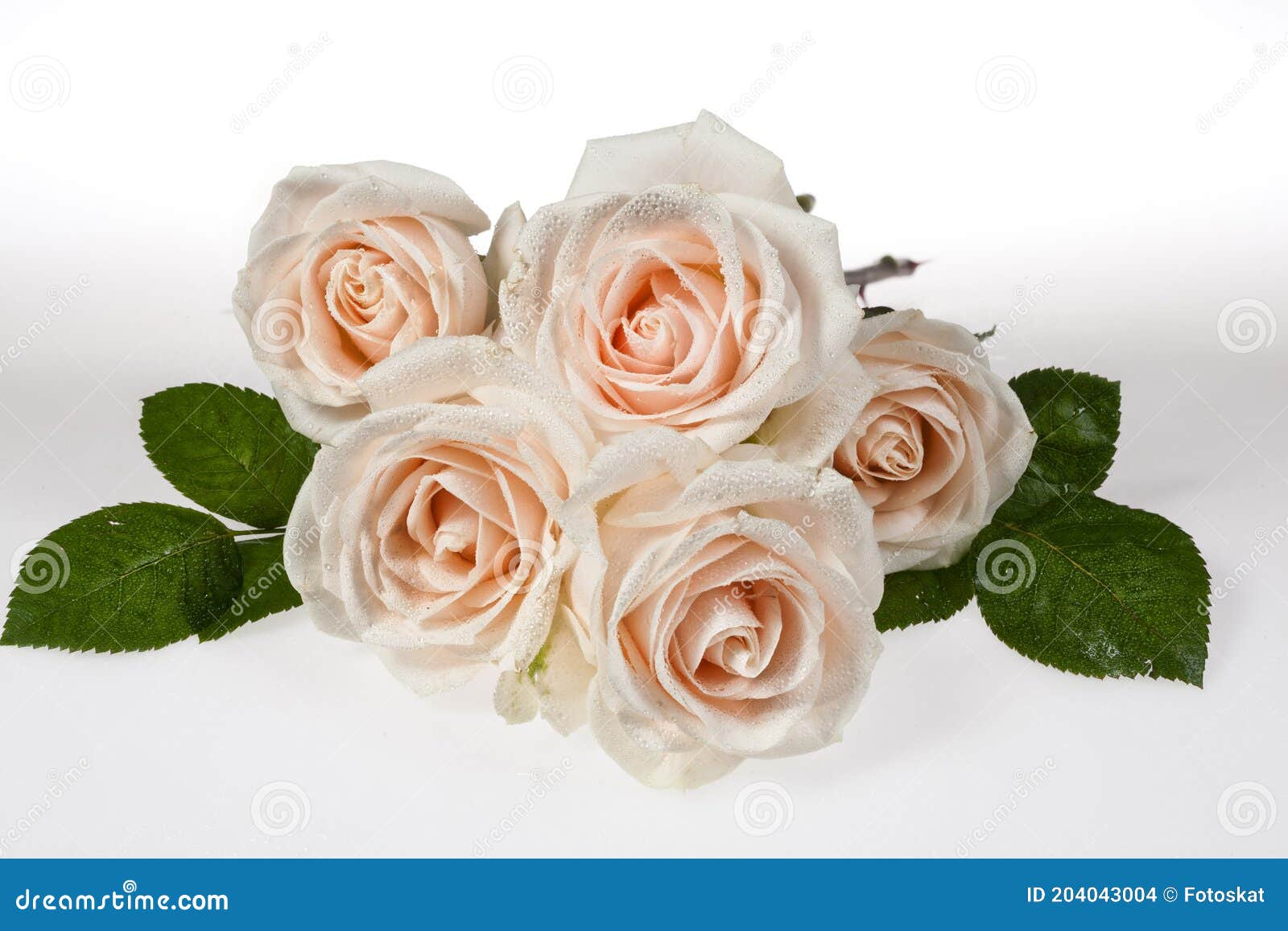 Five White Roses stock photo. Image of florist, decor - 204043004