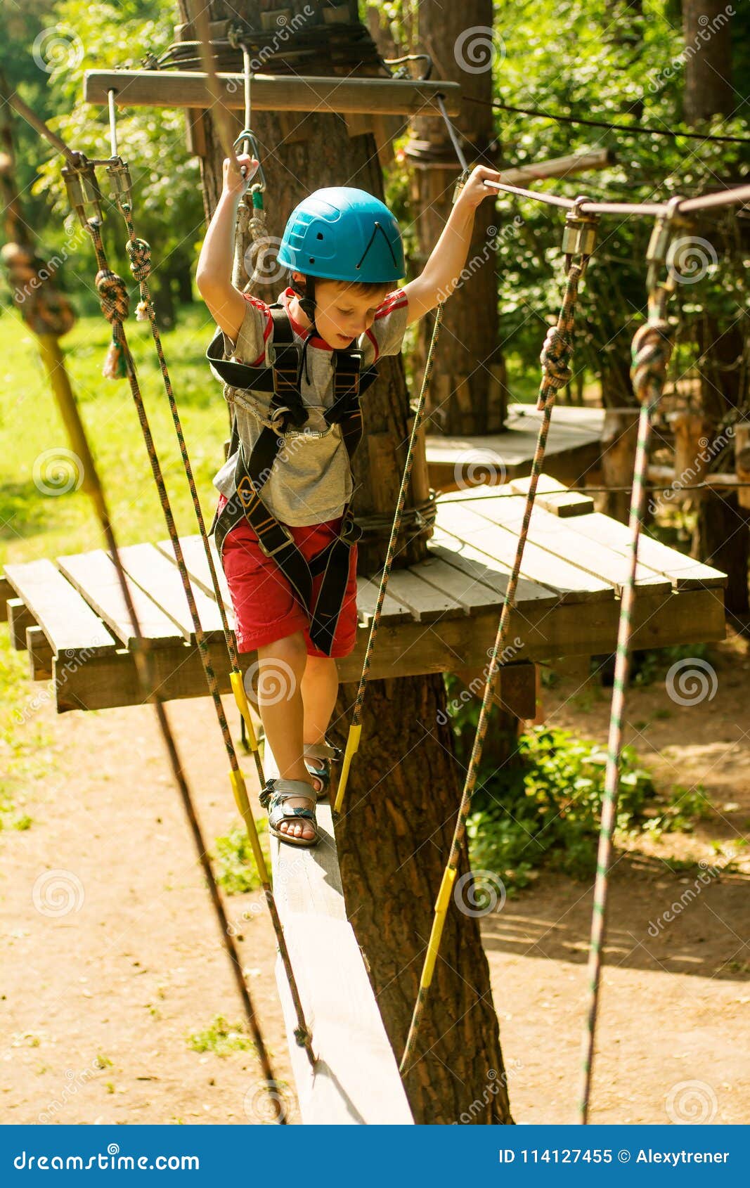 Five Year Boy on Rope-way in Forest Stock Image - Image of hand ...