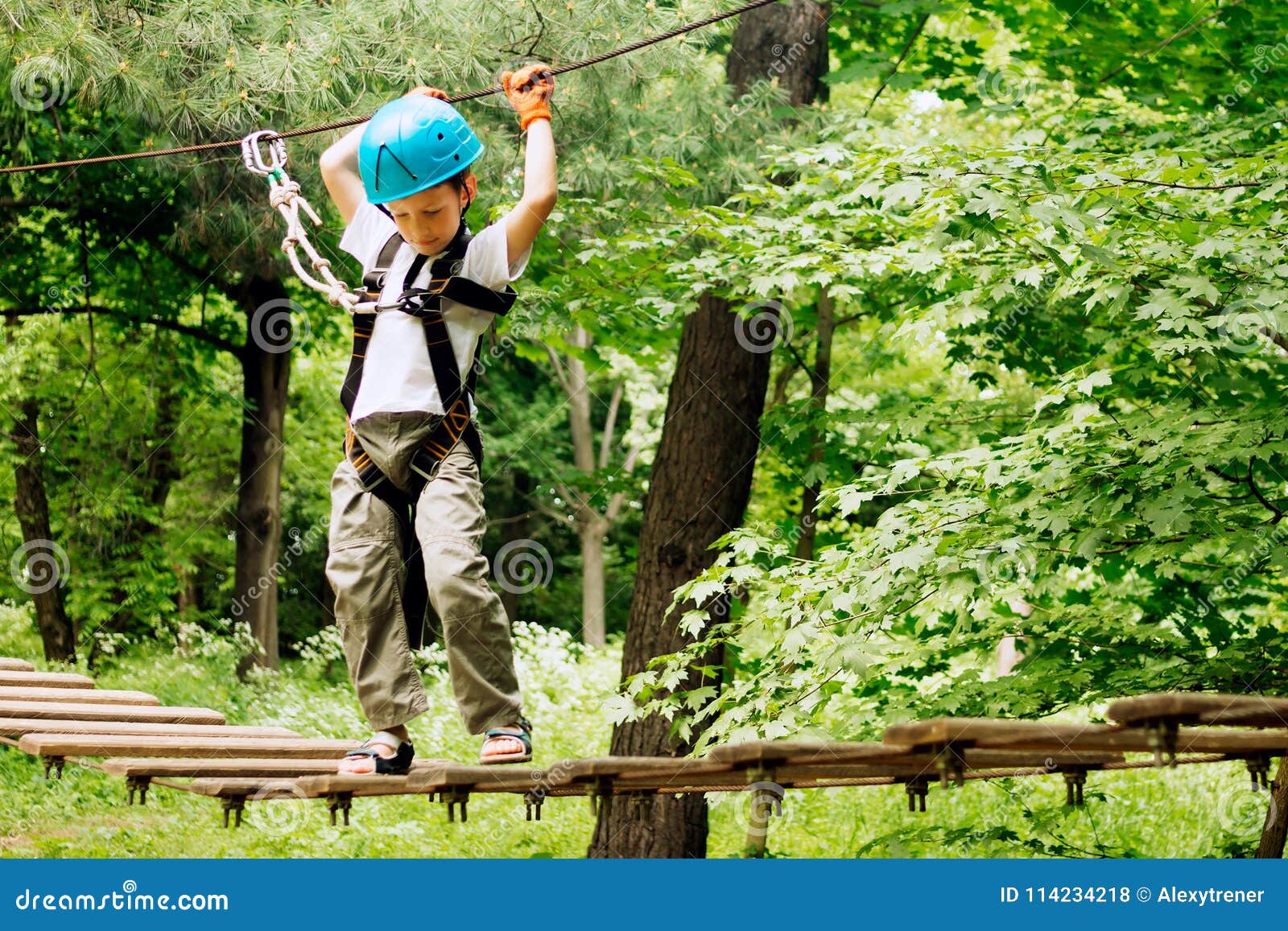 Five Year Boy on Rope-way in Forest Stock Photo - Image of footpath ...
