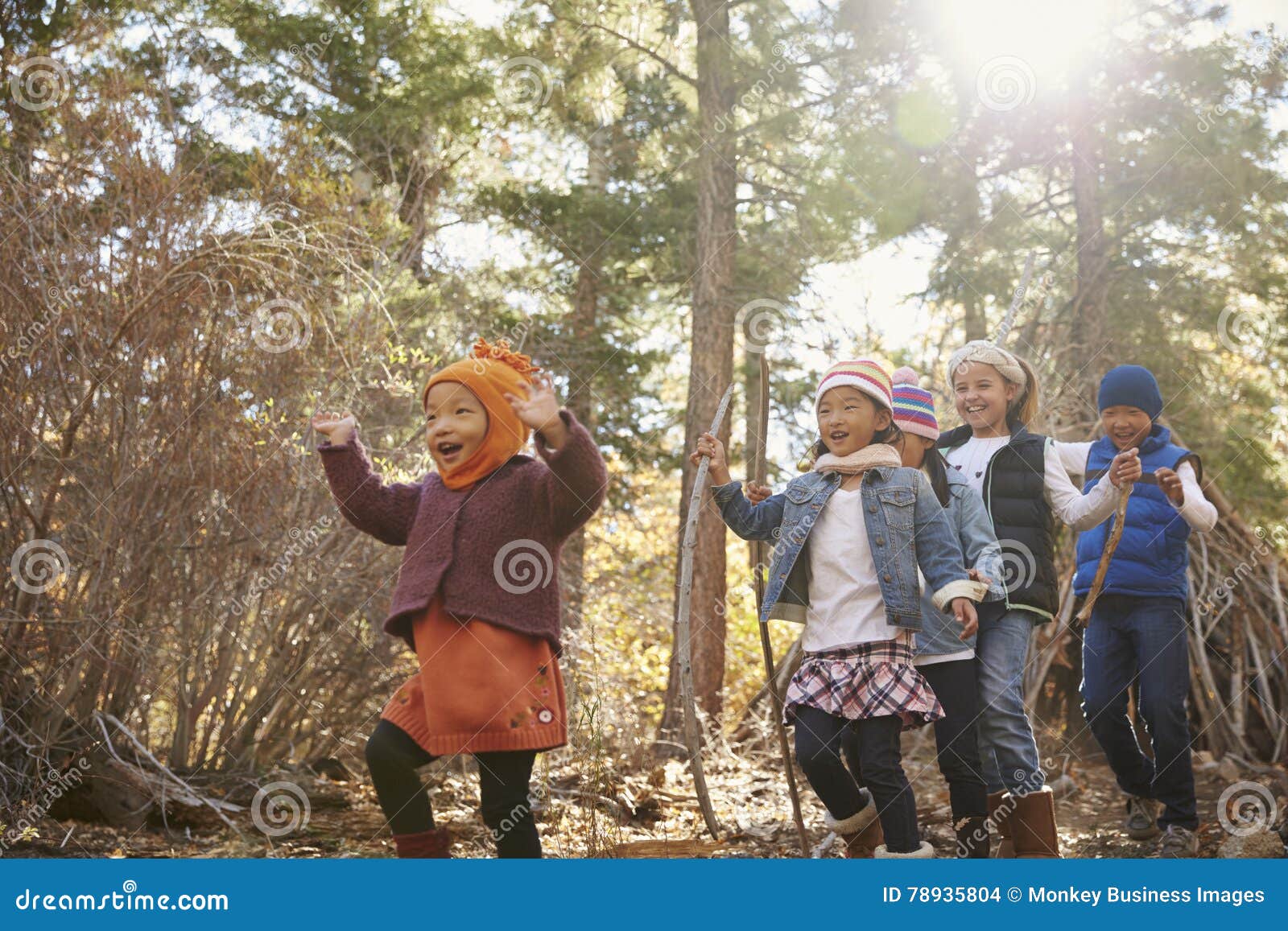 Five Young Children Playing Together in a Forest, Low Angle View Stock ...