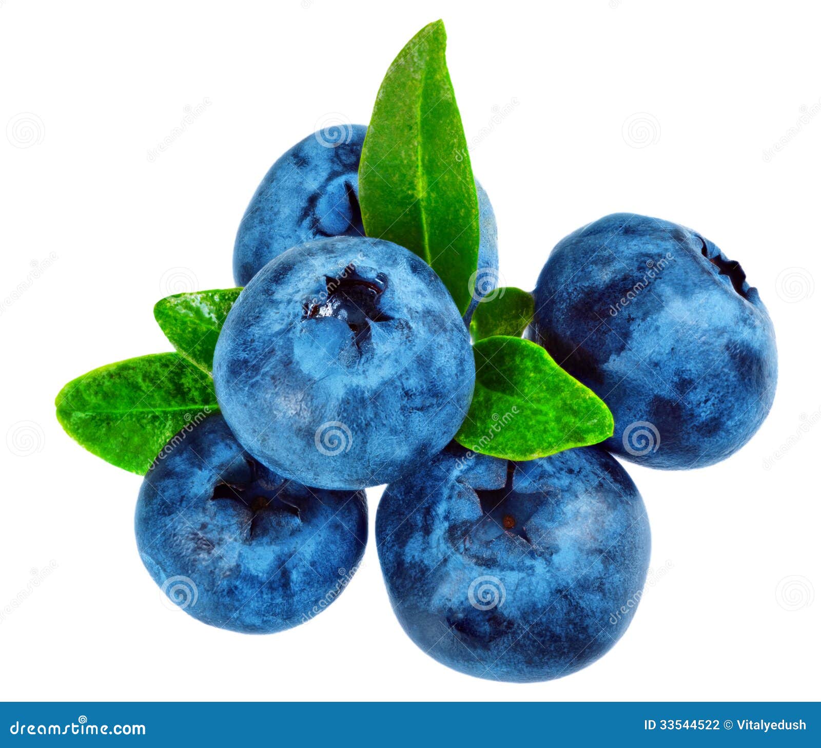 Fivew fresh blueberrys stock photo. Image of dessert - 33544522