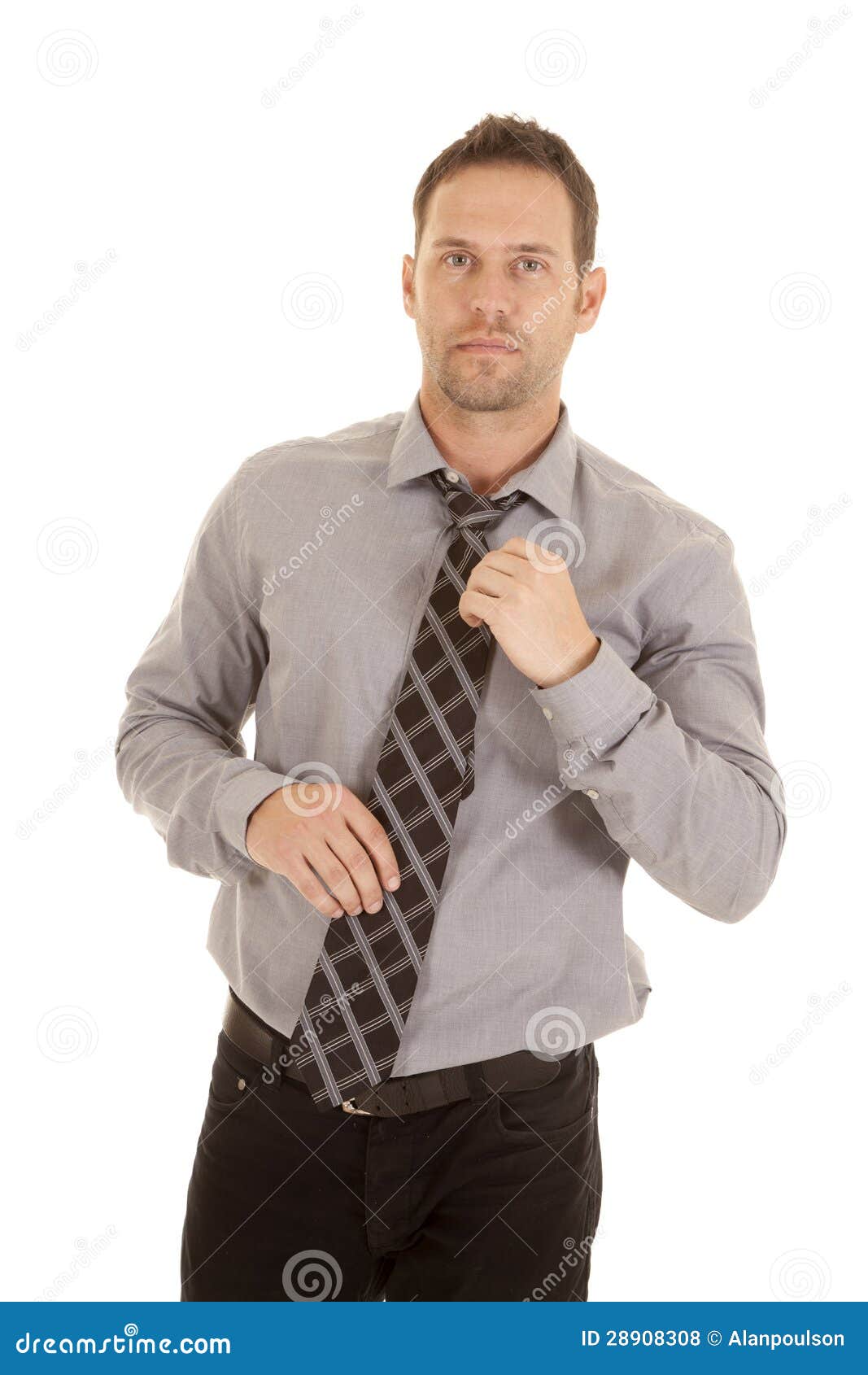 Fix tie stock photo. Image of fashion, person, adult - 28908308