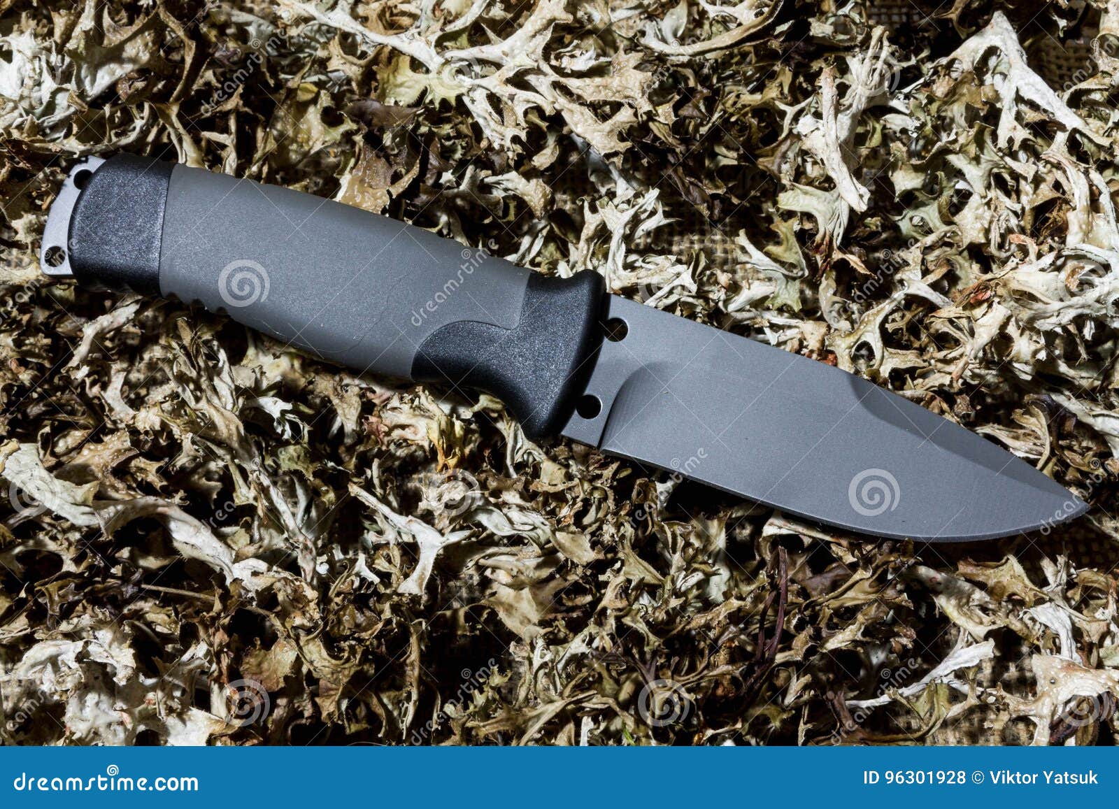 Fixed Knife on Dry Grass. Diagonal Position. Back Side Stock Photo ...