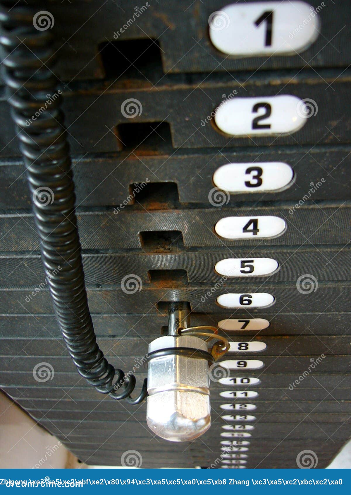 2,614 Body Numbers Stock Photos - Free & Royalty-Free Stock Photos from ...