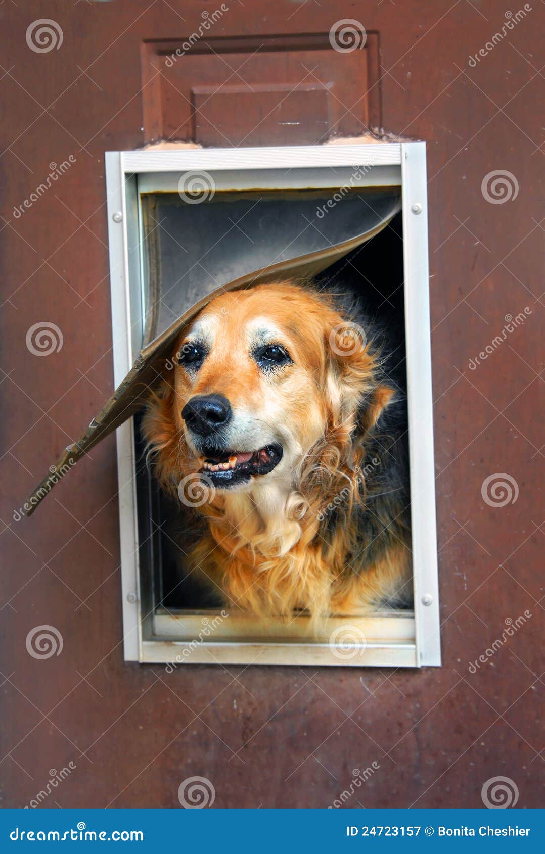 686 Flap Window Photos - Free & Royalty-Free Stock Photos from Dreamstime