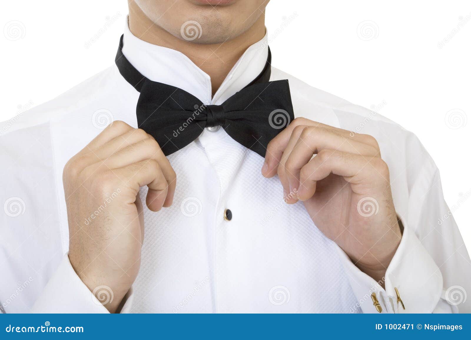 Fixing a bow tie stock image. Image of white, grooming - 1002471
