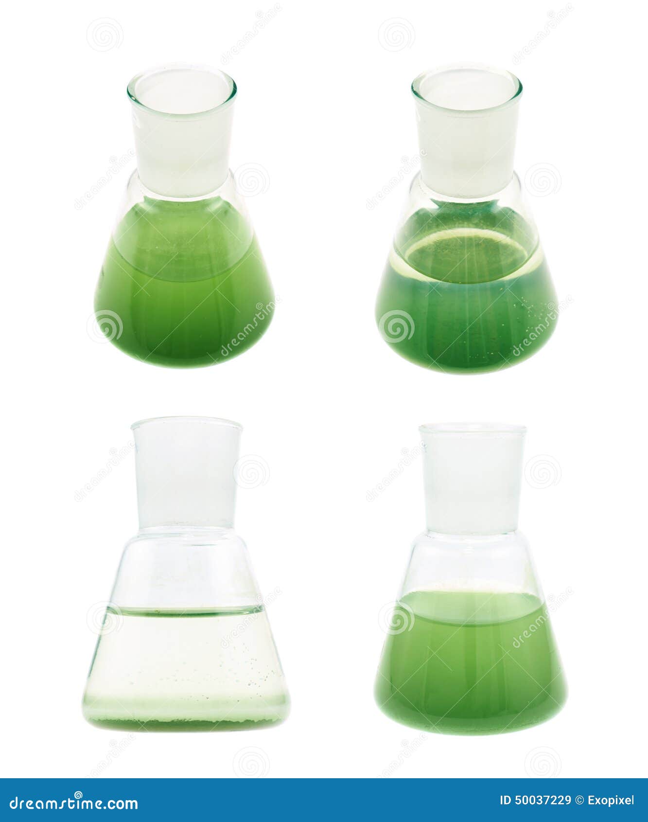 Flacon Erlenmeyer Rempli De Liquide Image stock - Image du cylindre ...