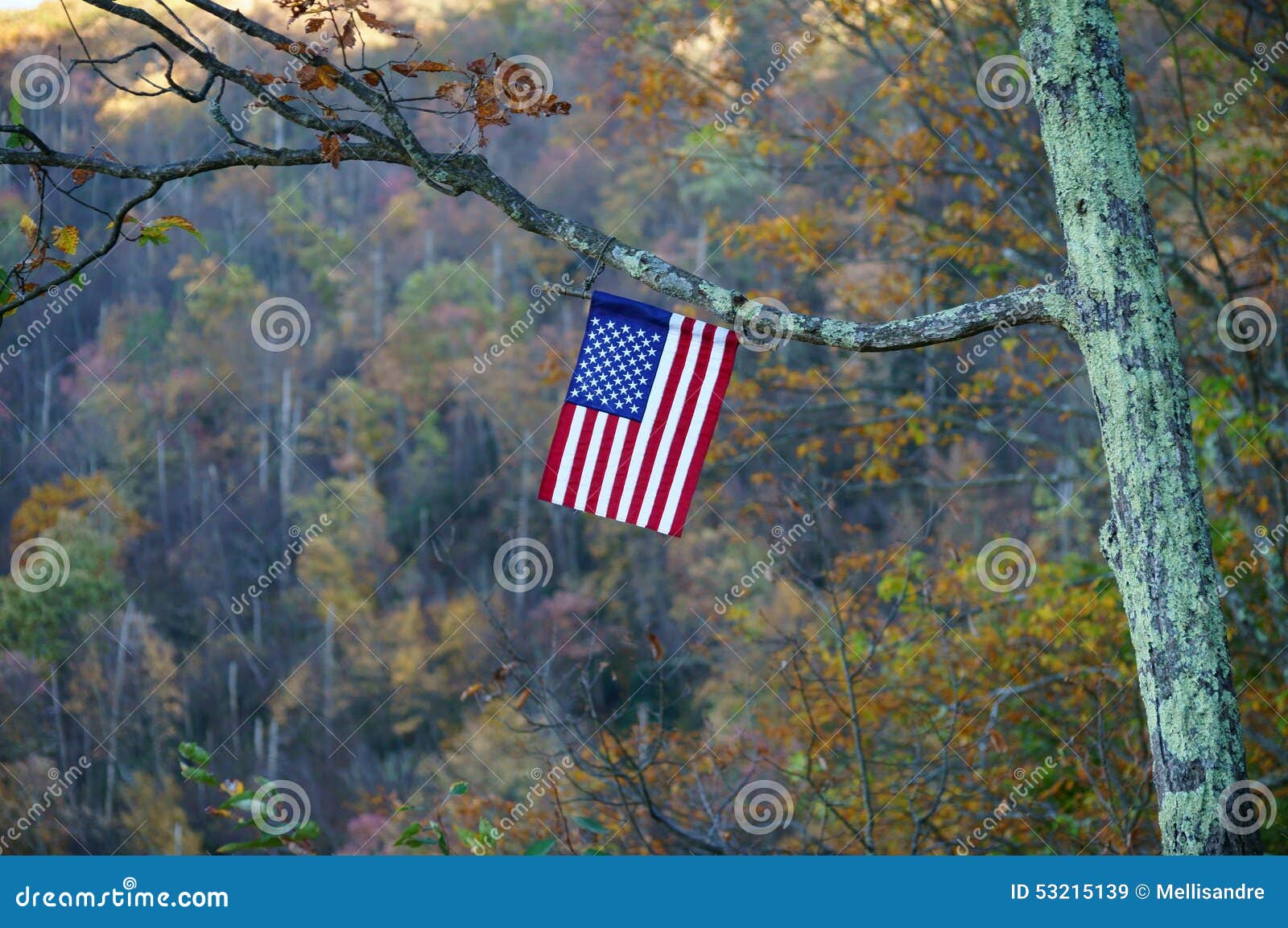 Flag. stock image. Image of stars, weather, america, yellow - 53215139