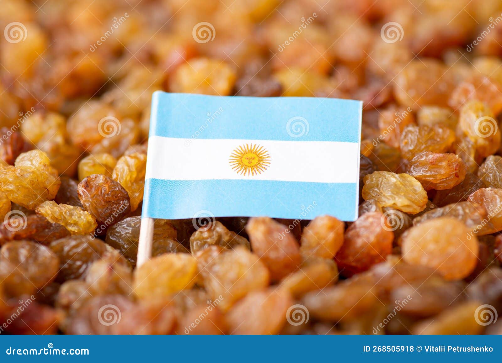 Flag of Argentina on Raisin Stock Photo - Image of country, concept ...