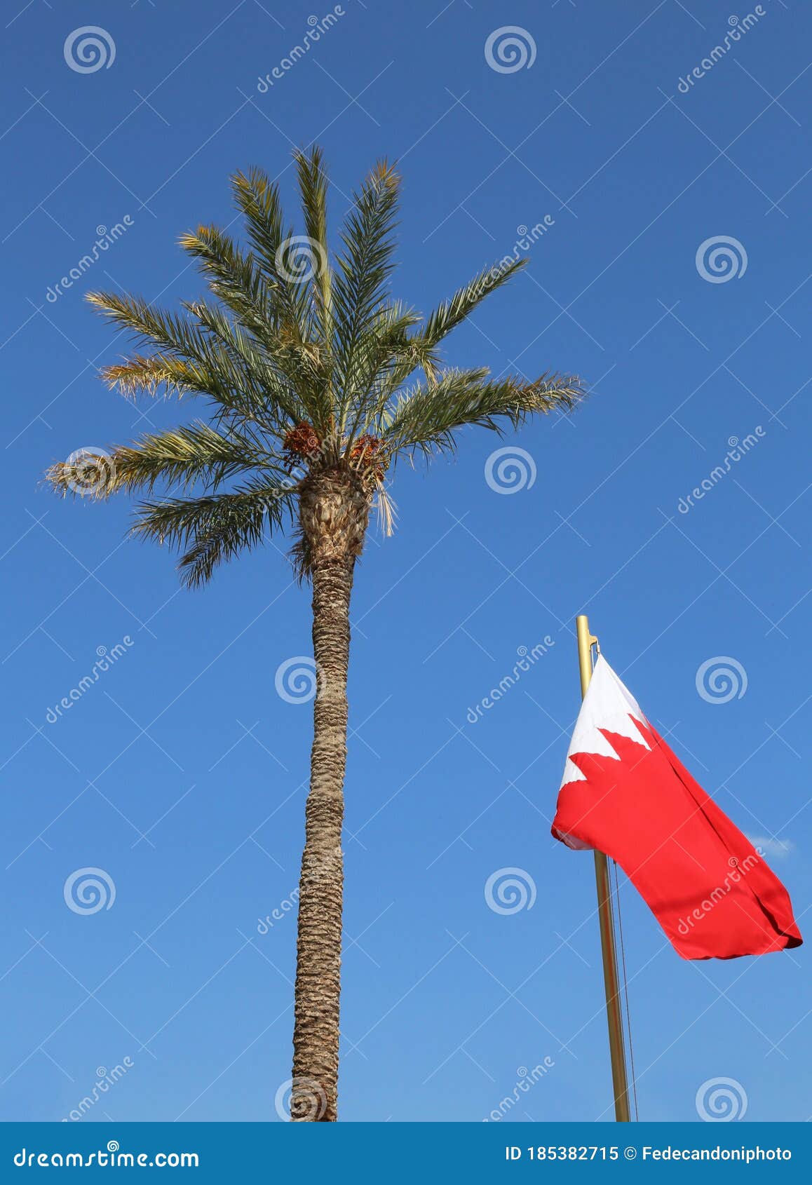 Flag of bahrain with palm stock image. Image of waving - 185382715