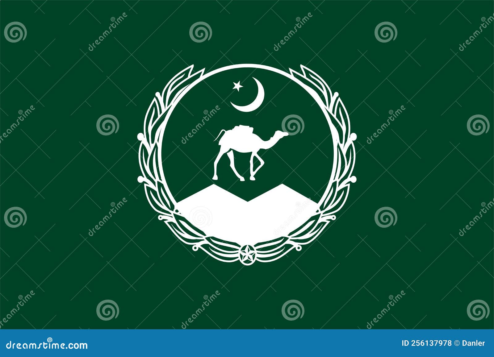 Flag Balochistan Islamic Republic of Pakistan Vector Stock Vector ...