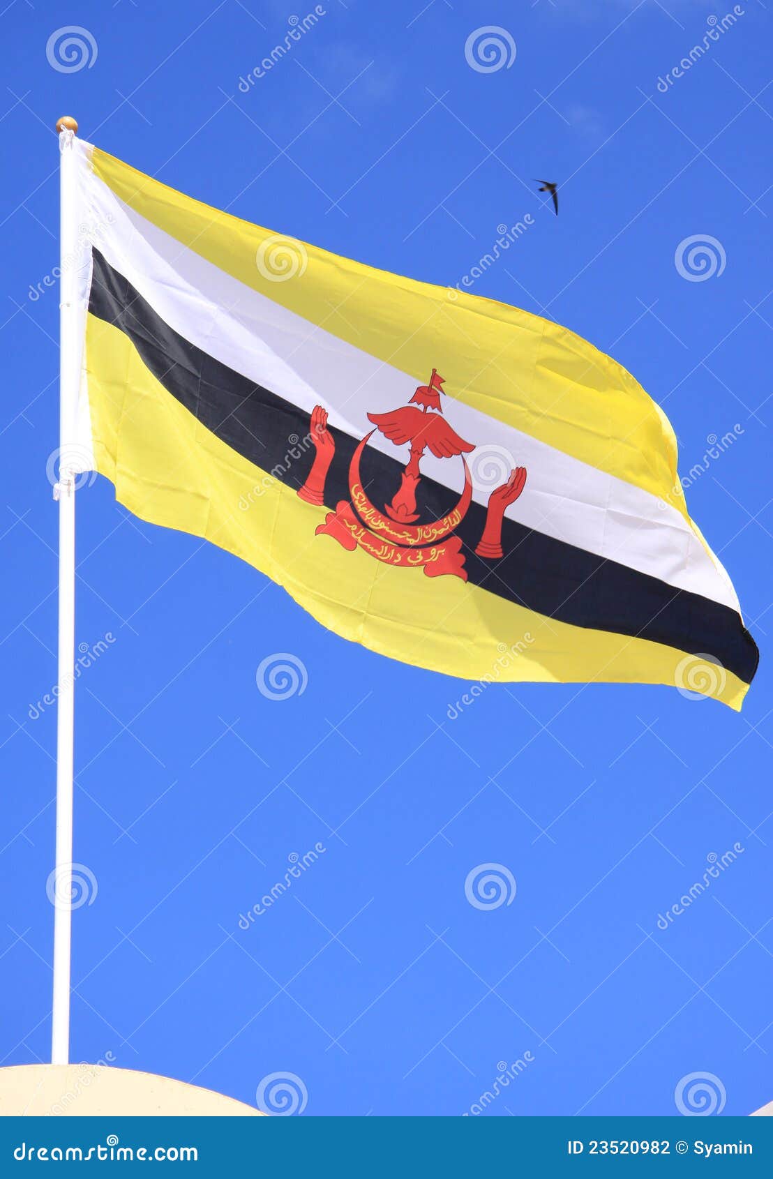 Flag of Brunei Darussalam stock photo. Image of flag - 23520982