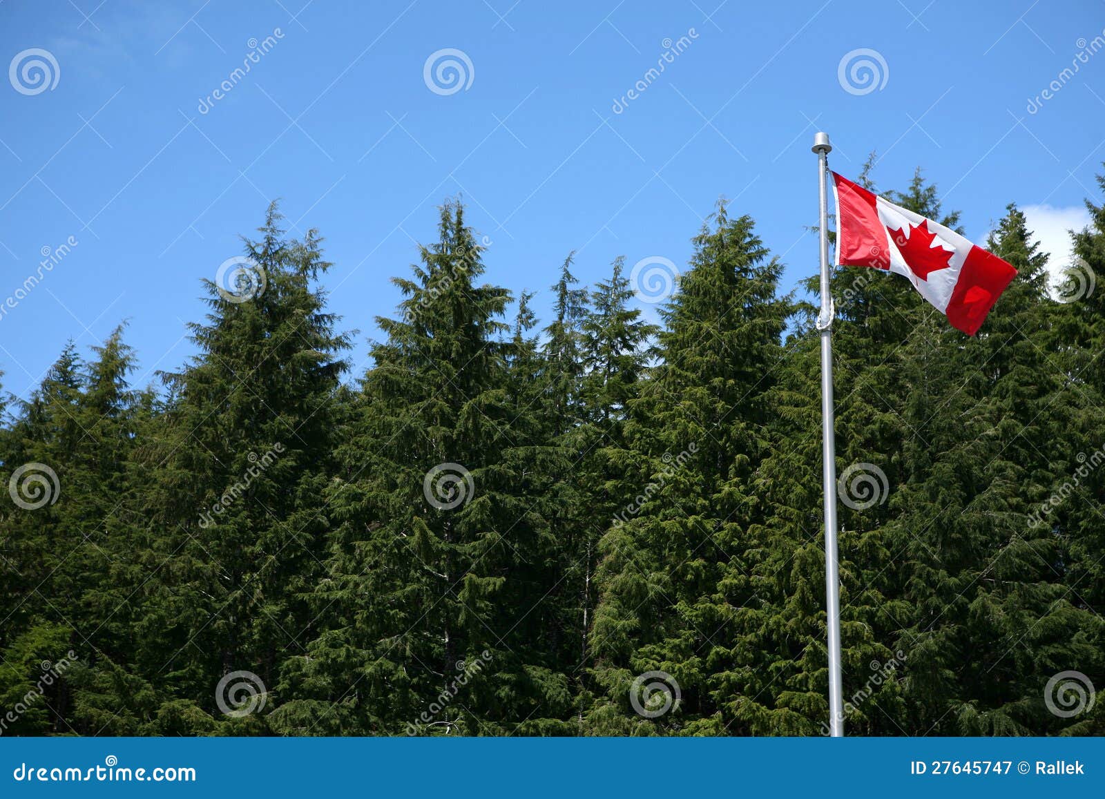 Flag of canada stock image. Image of trees, metal, white - 27645747