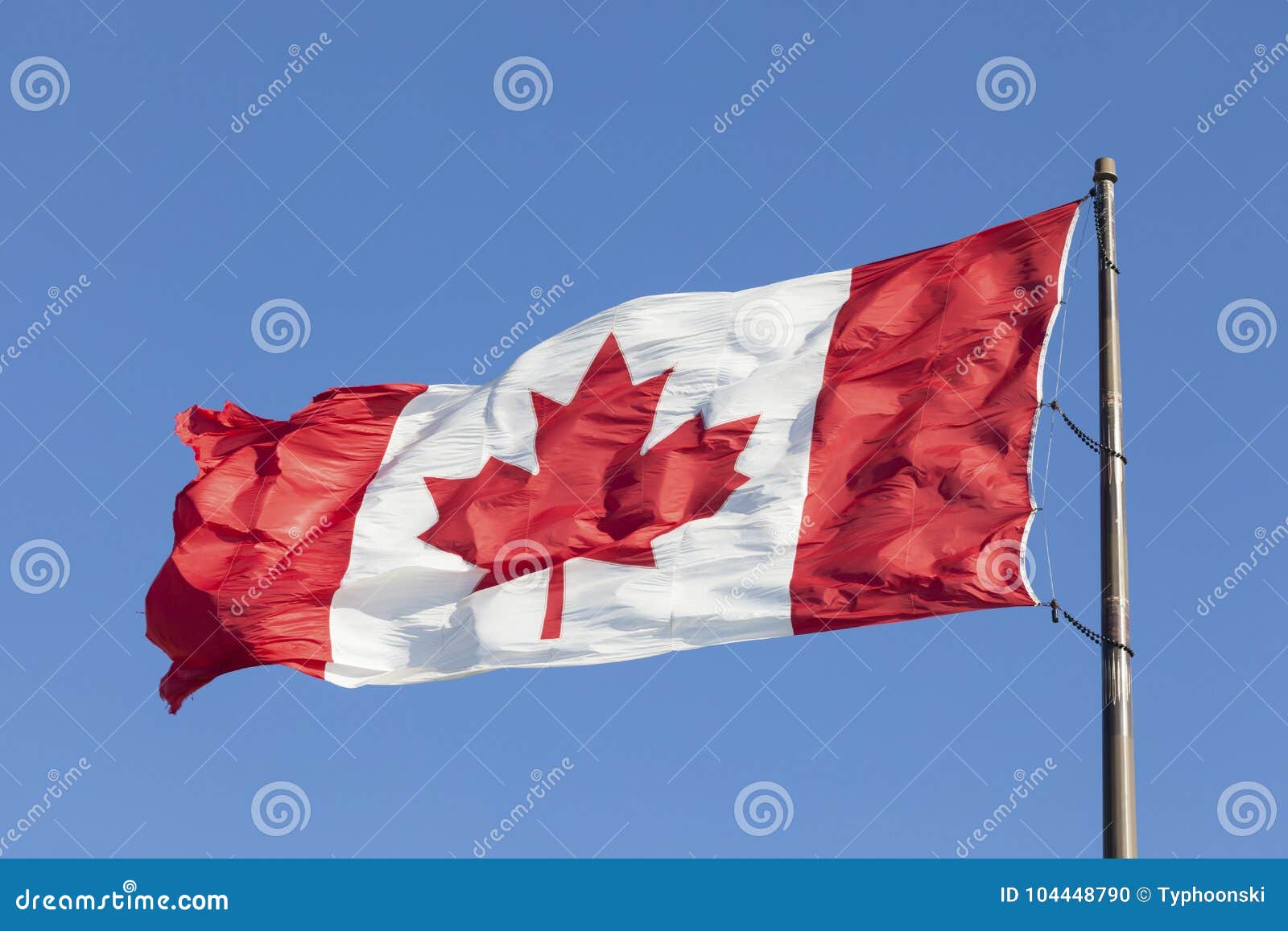 Flag of Canada stock photo. Image of emblem, ensign - 104448790