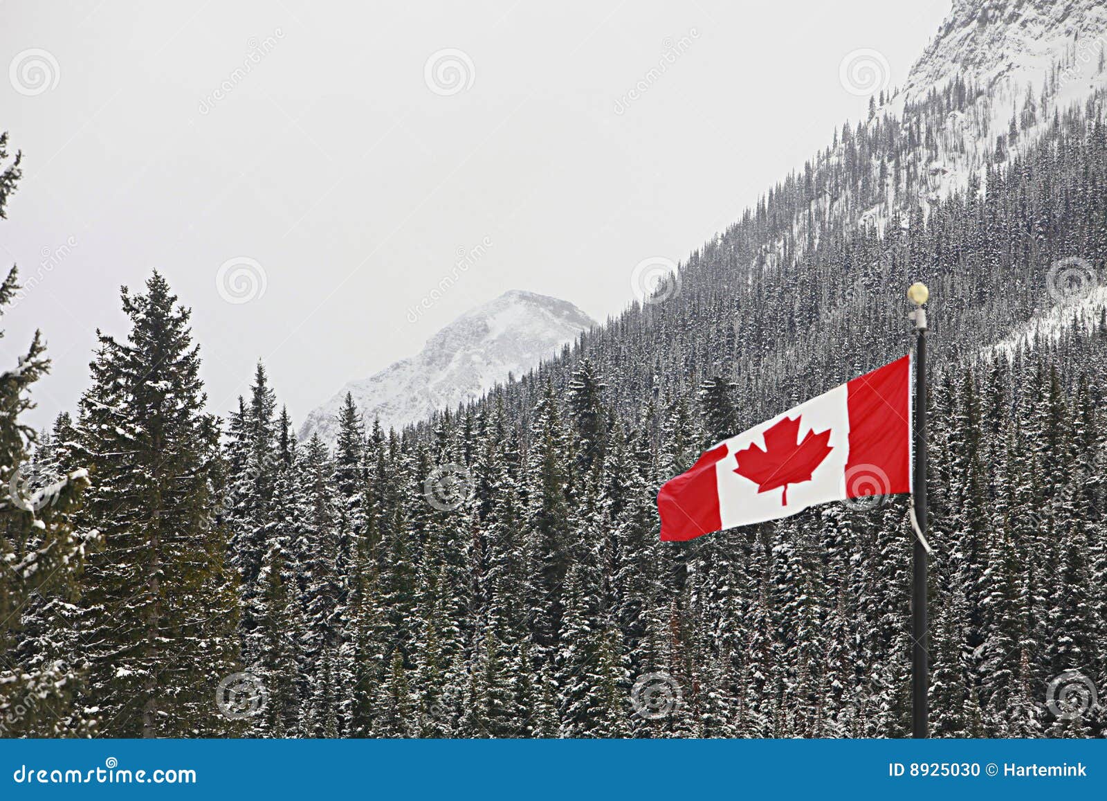 Flag of Canada Flying Over Mountain Forest Stock Photo - Image of slope ...