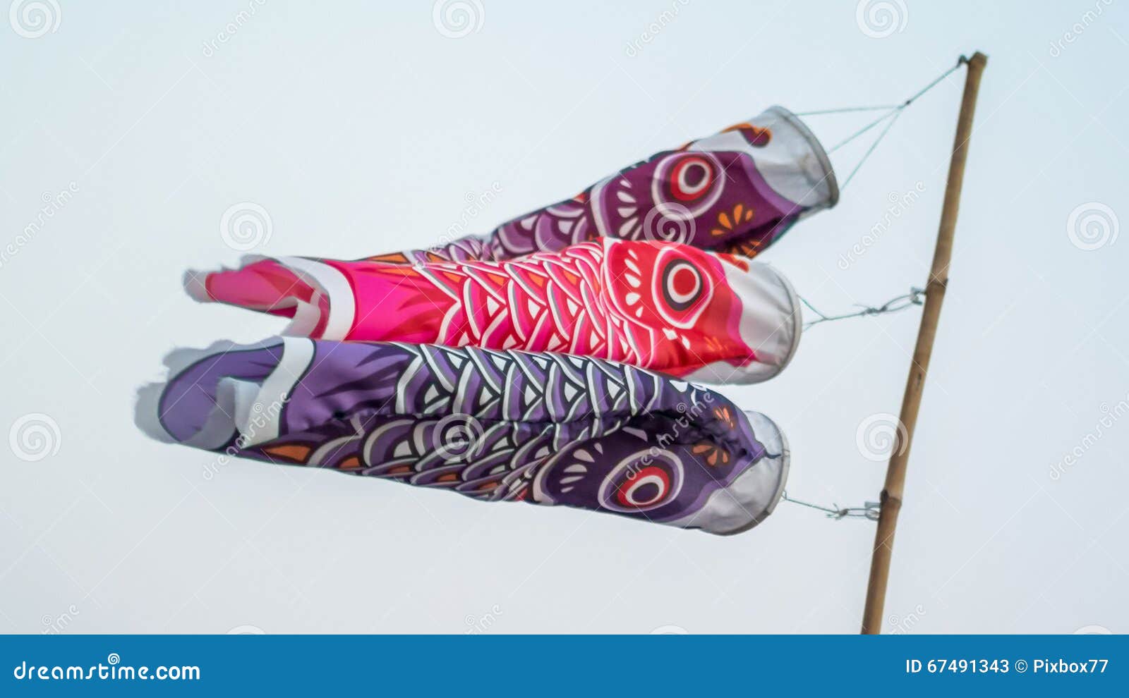 Flag Carp in Japanese Style Stock Image - Image of pink, column: 67491343