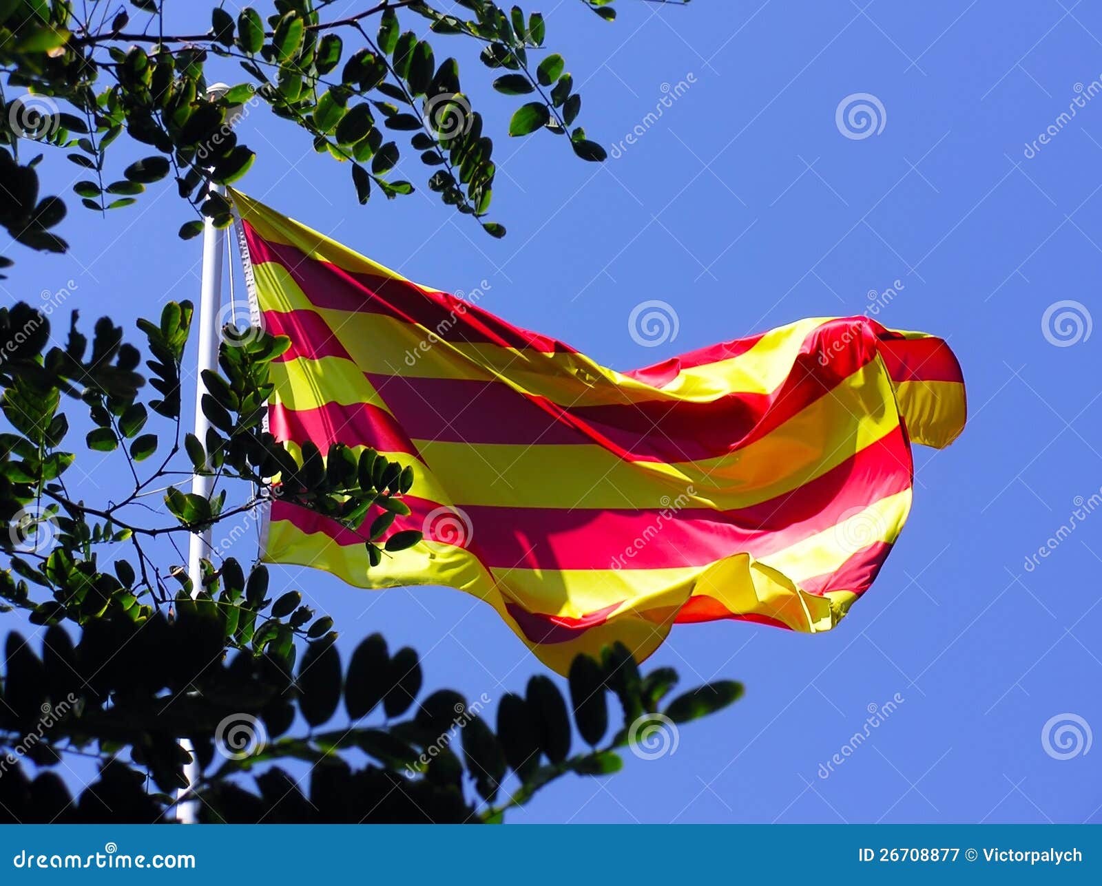 Flag of Catalonia stock image. Image of flag, flags, senyera - 26708877