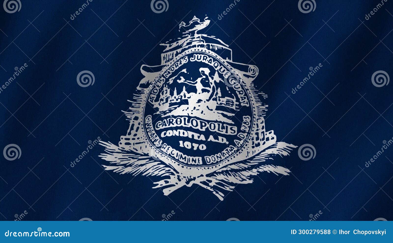 Flag of Charleston Images, Charleston Flag Waving in the Wind Stock ...