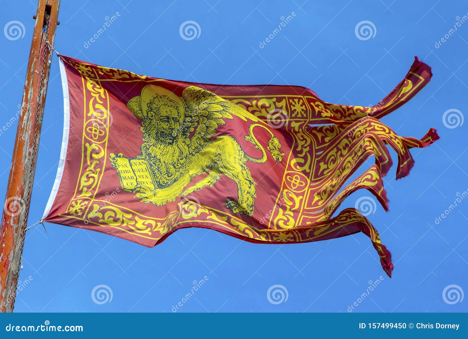 Flag of Venice in Italy stock photo. Image of banner - 157499450