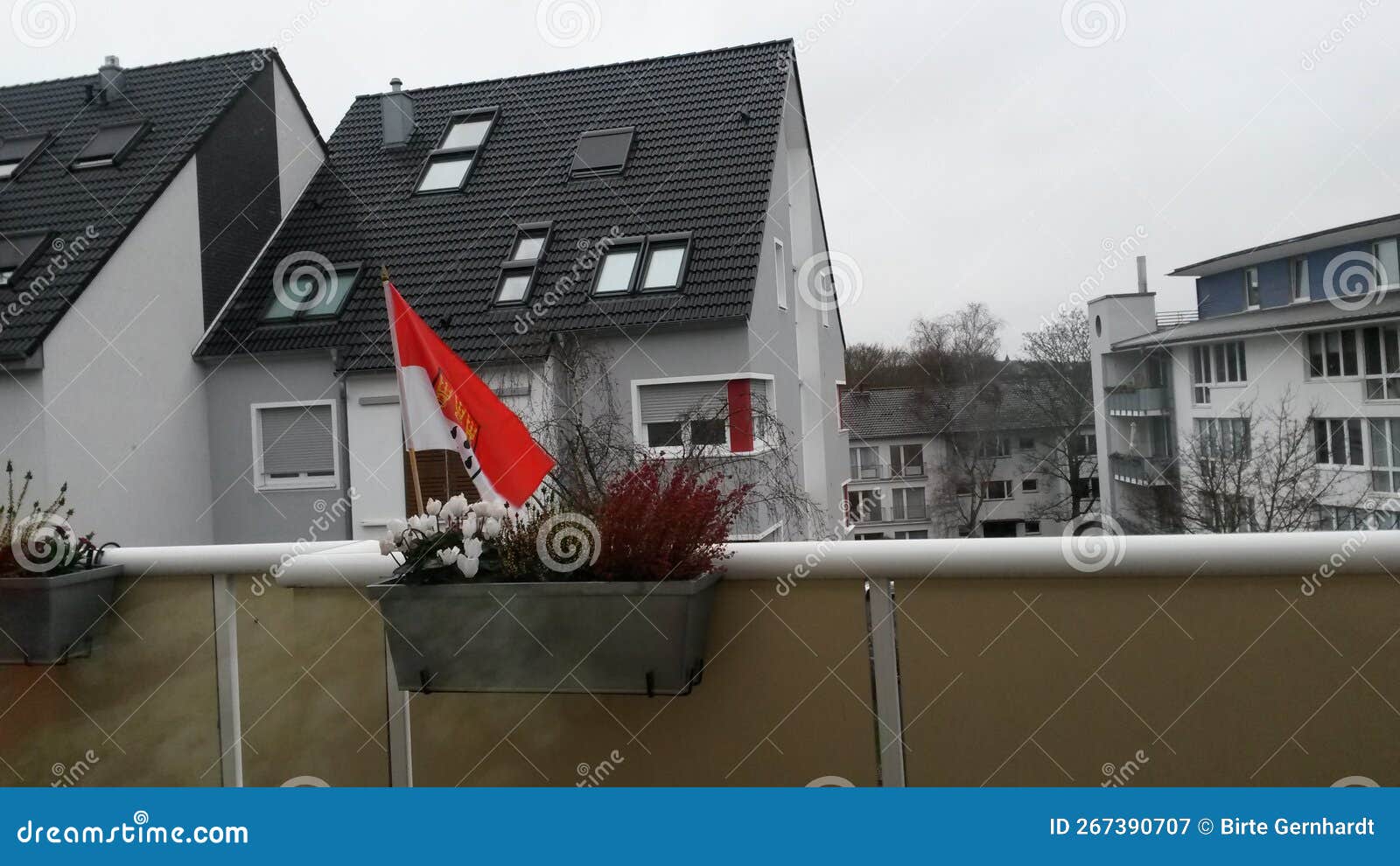 Flag with the Coat of Arms of Cologne is Waving on a Wintry Balcony ...