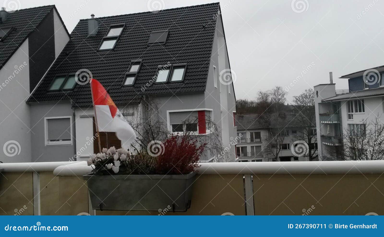Flag with the Coat of Arms of Cologne is Waving on a Wintry Balcony ...
