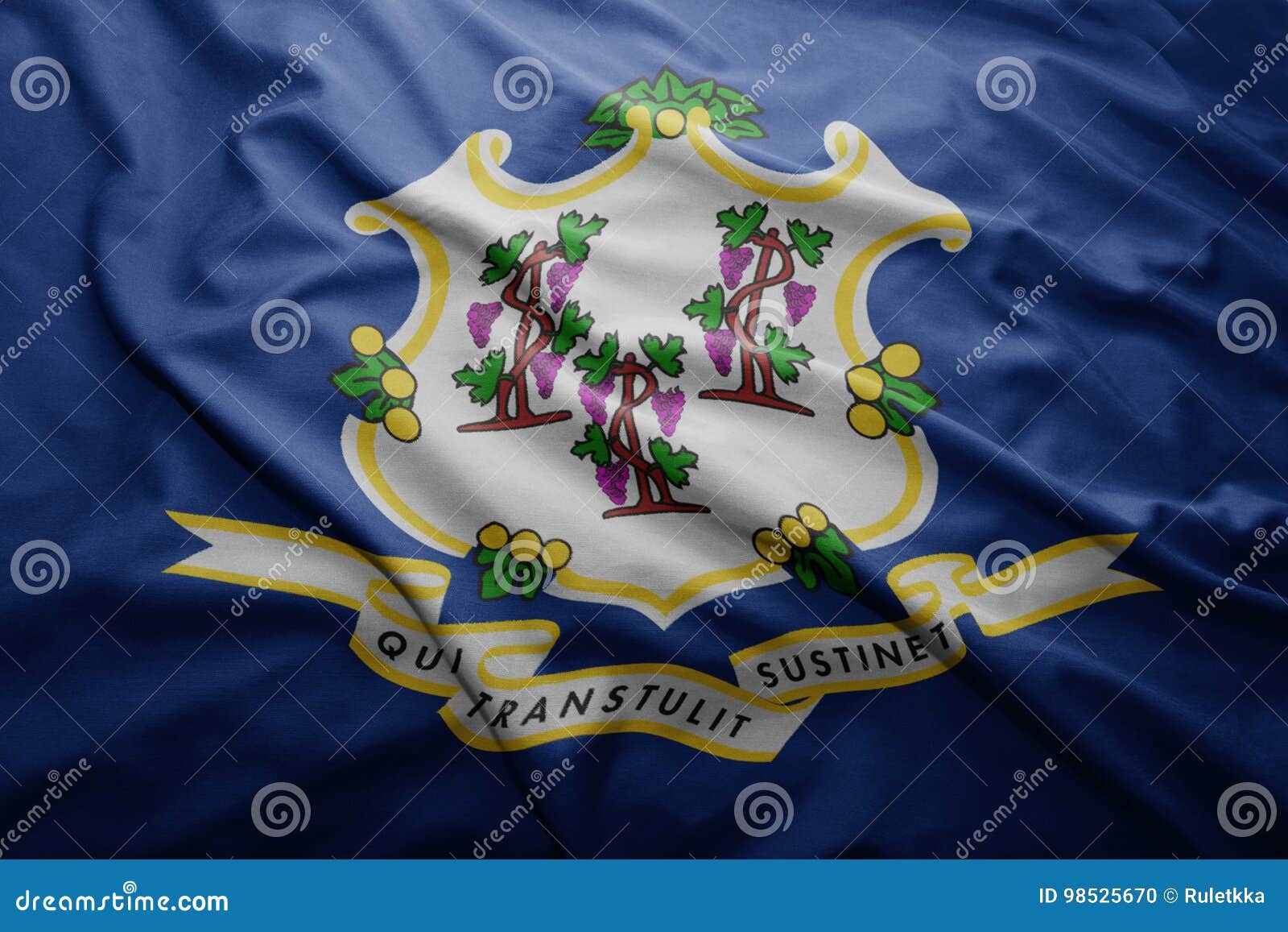 Colorful Connecticut Political Map With Clearly Labeled, Separated ...