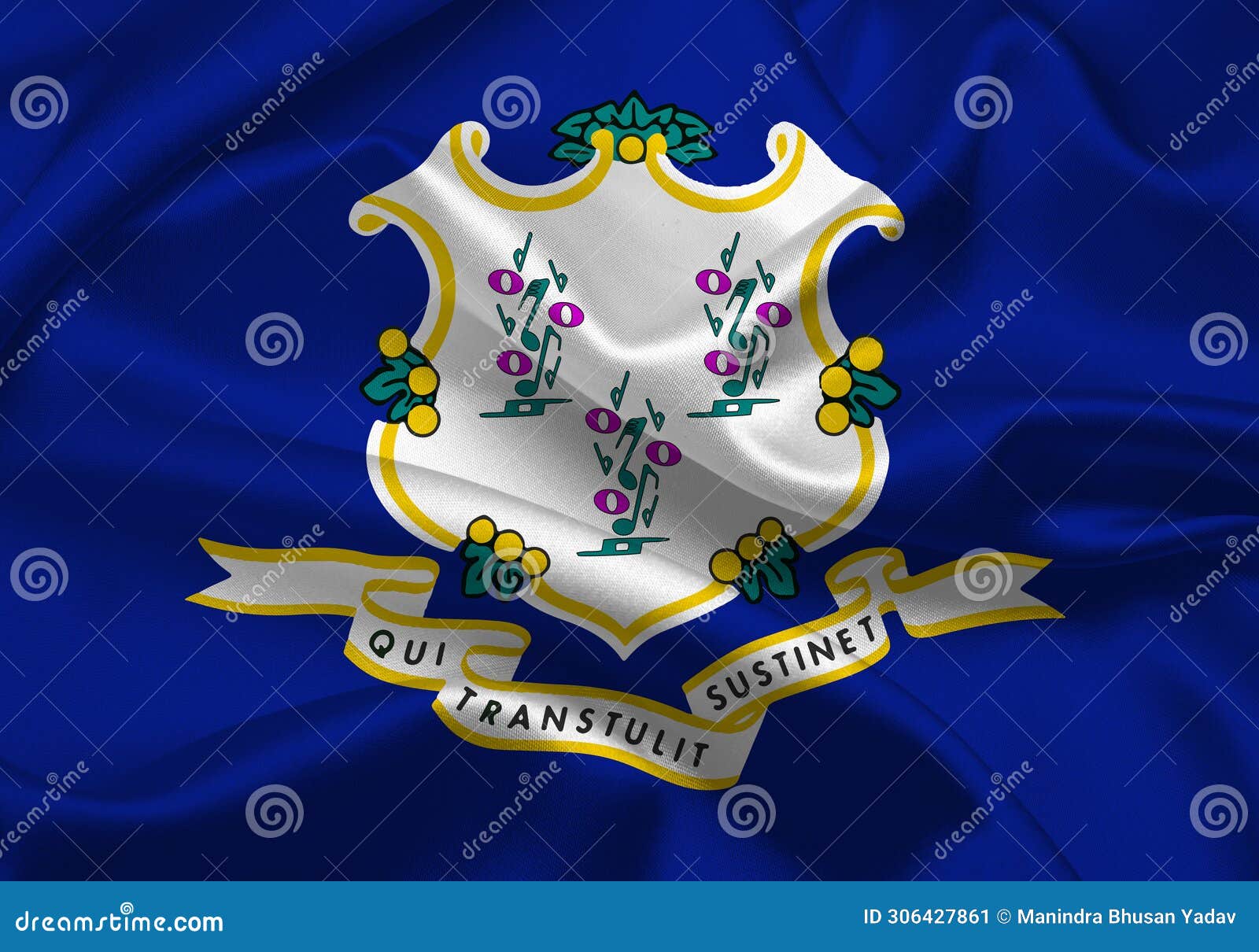 Flag of Connecticut , Connecticut Flag, USA State Connecticut Flag ...