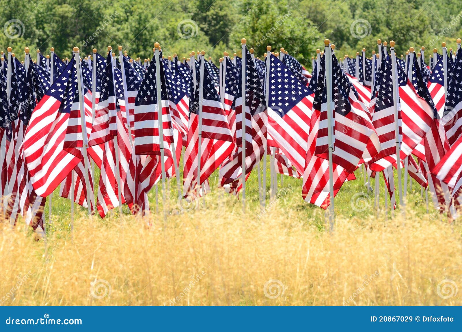 Flag Field stock image. Image of wind, white, wave, veteran - 20867029