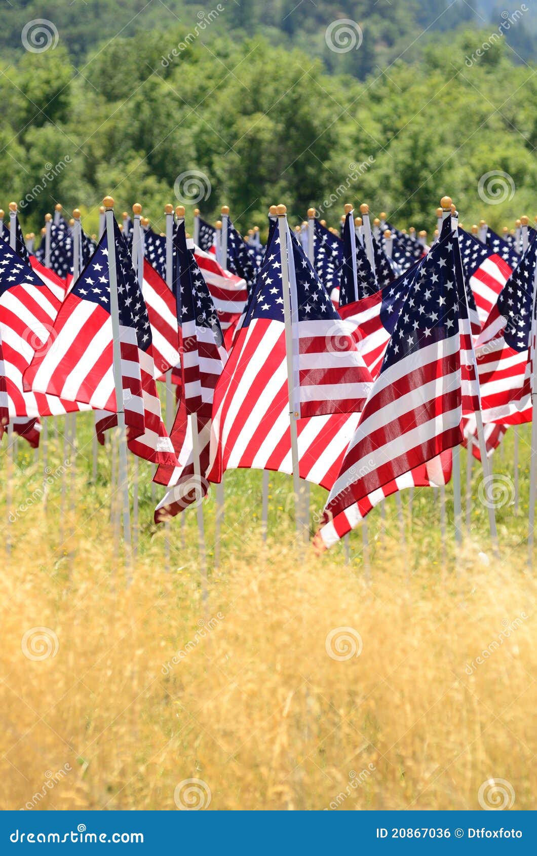 Flag Field stock photo. Image of flag, wind, glory, july - 20867036