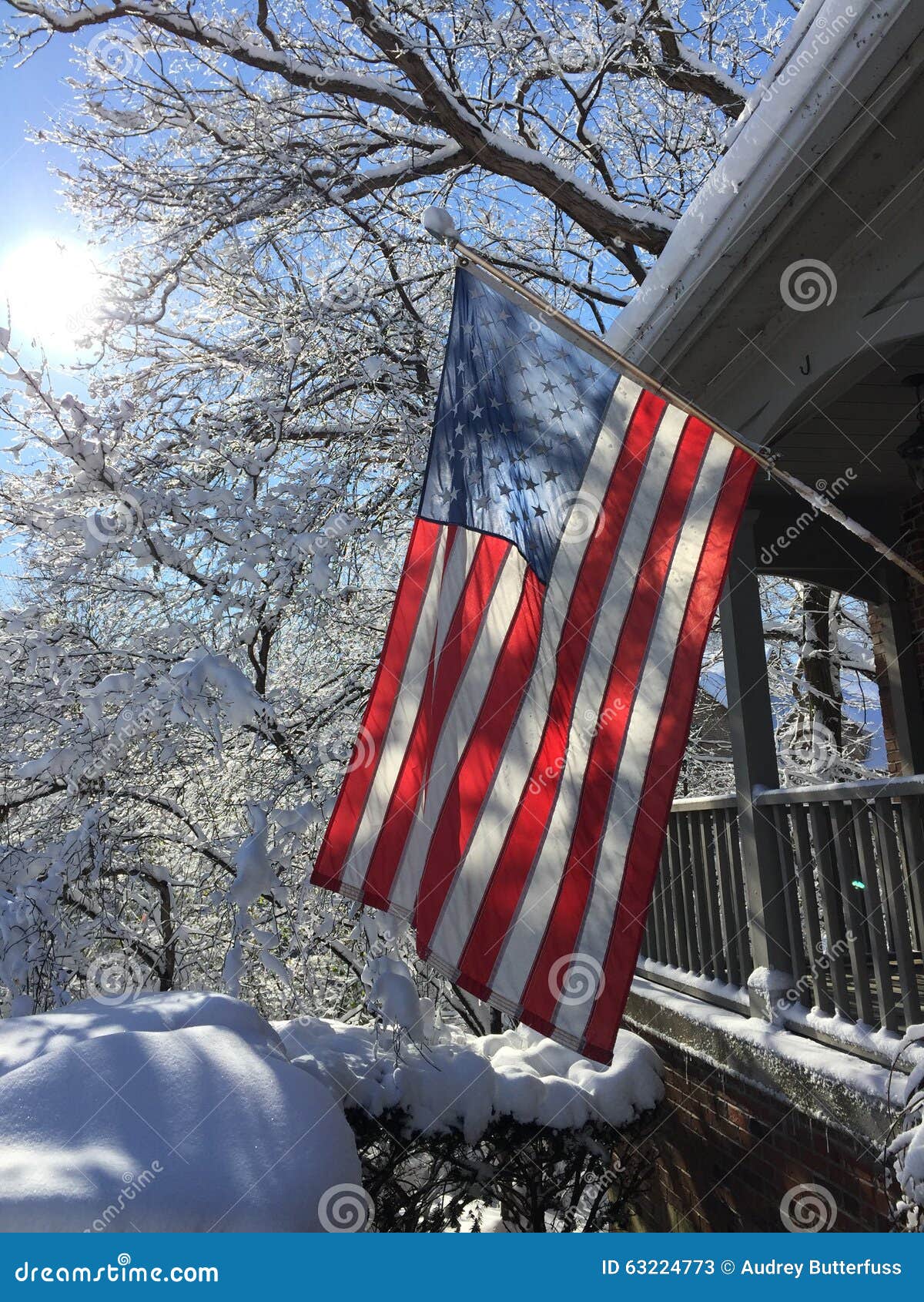 Flag at first snow. stock image. Image of colors, trees - 63224773