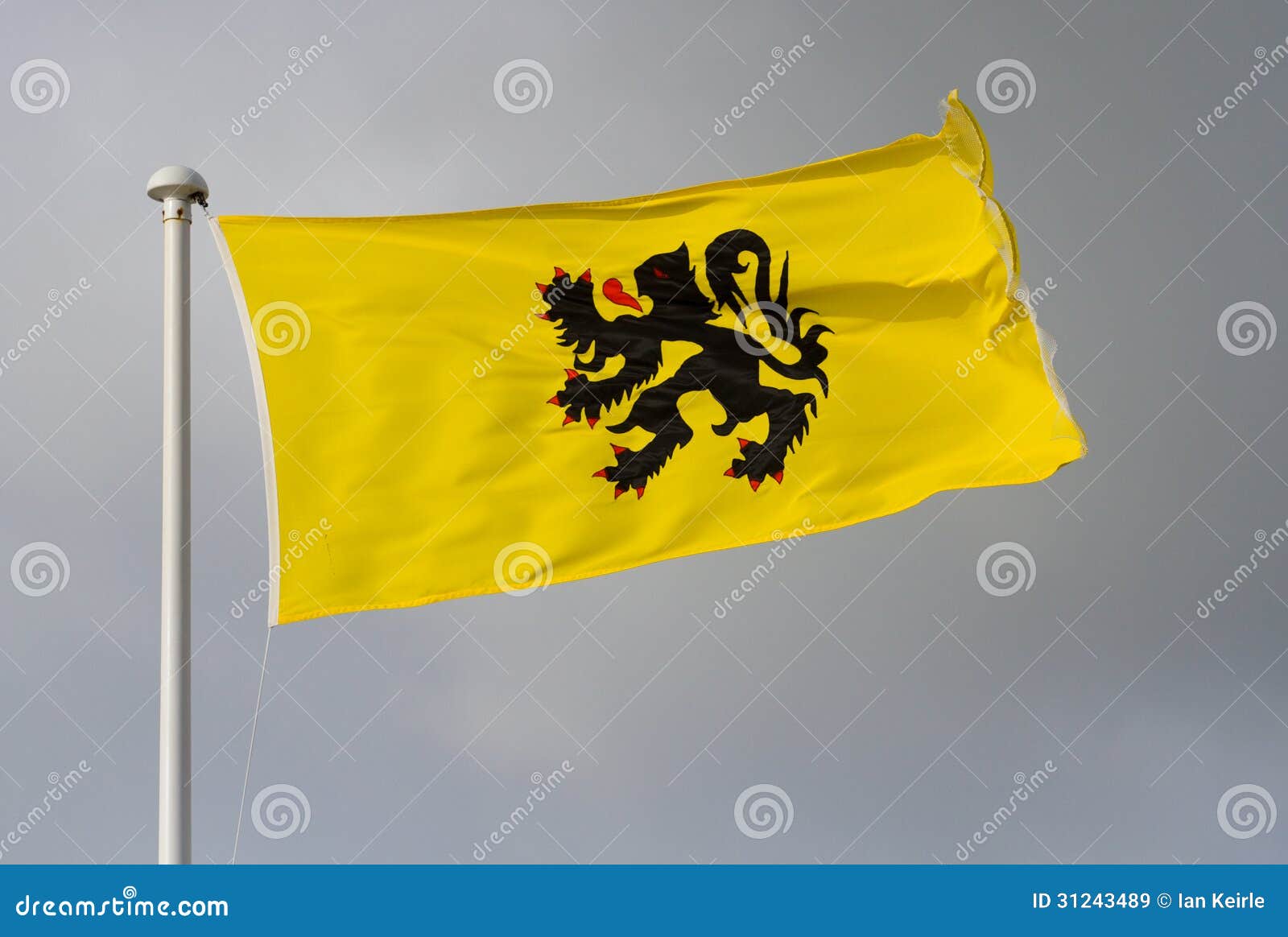 Flag Of Flanders Royalty-Free Stock Photography | CartoonDealer.com ...