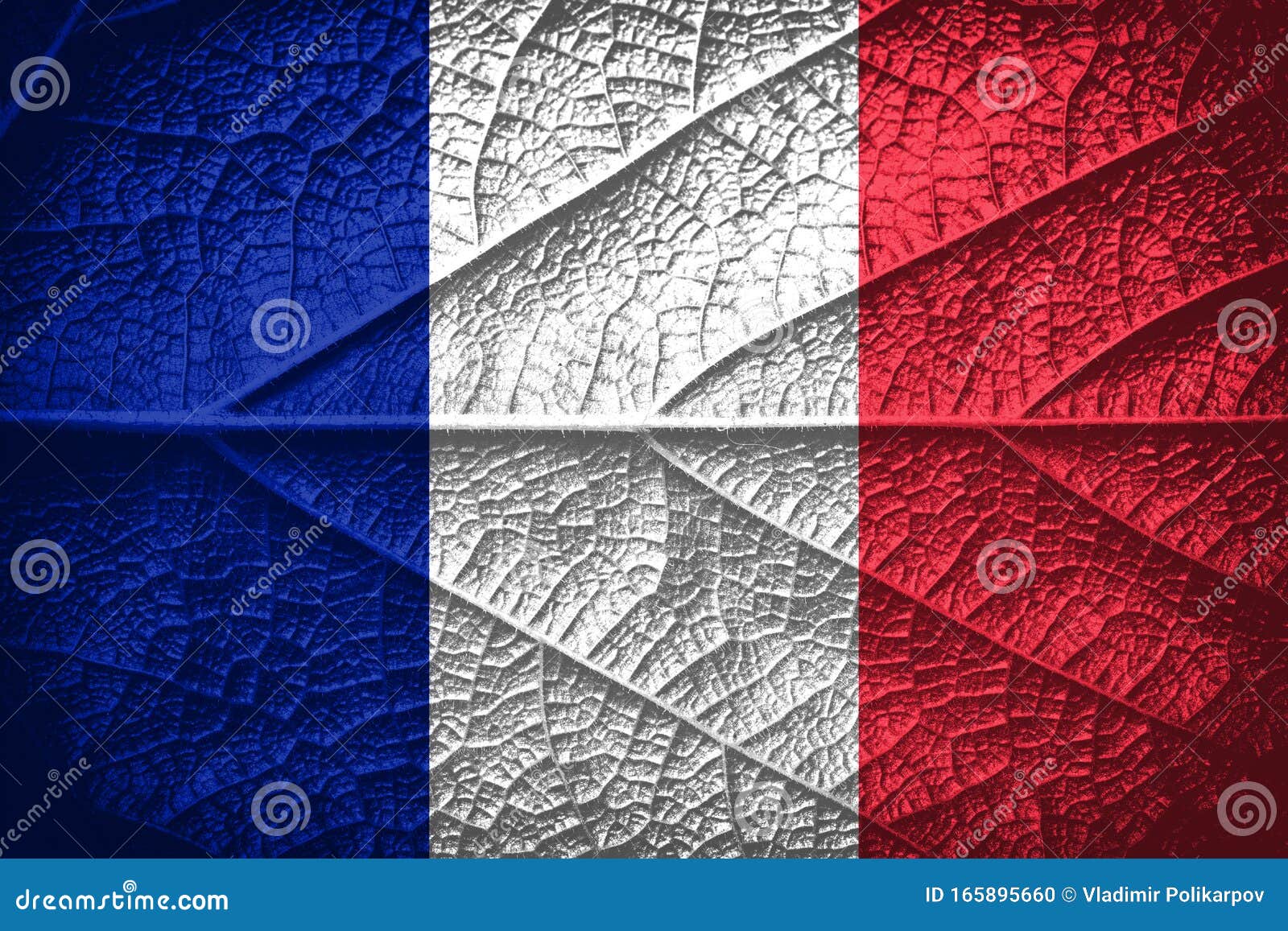 Flag of France with Texture. Template for Design Stock Illustration ...