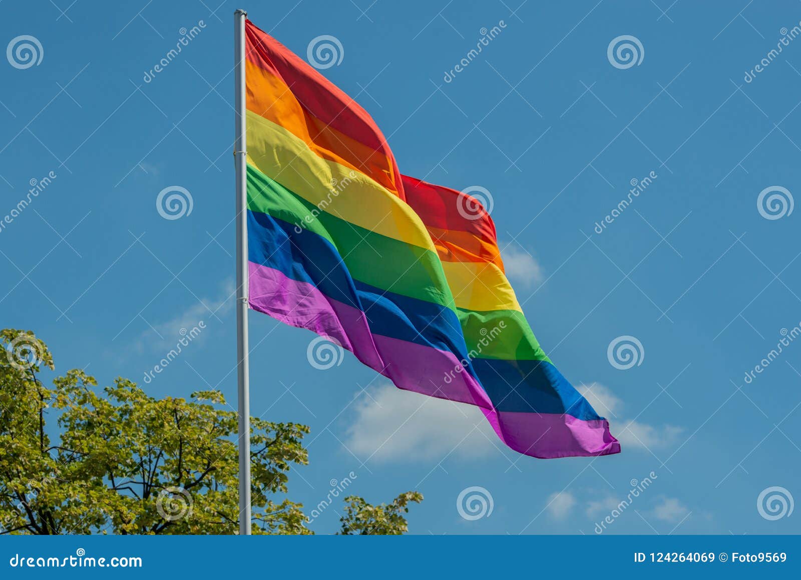 Flag of Gay Pride Movement Painted on Brick Wall Stock Image - Image of ...