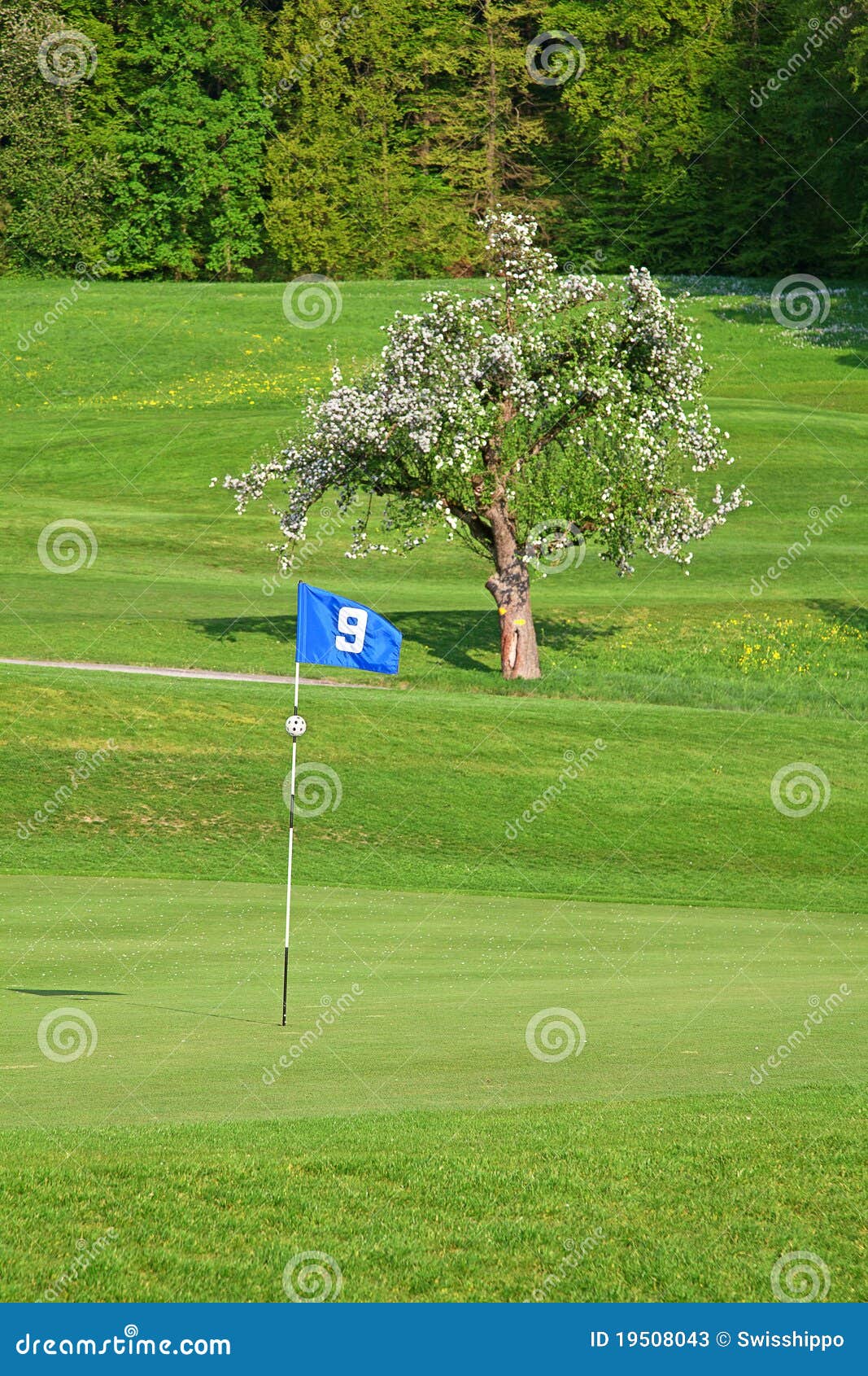 Flag on golf course stock image. Image of game, finish - 19508043