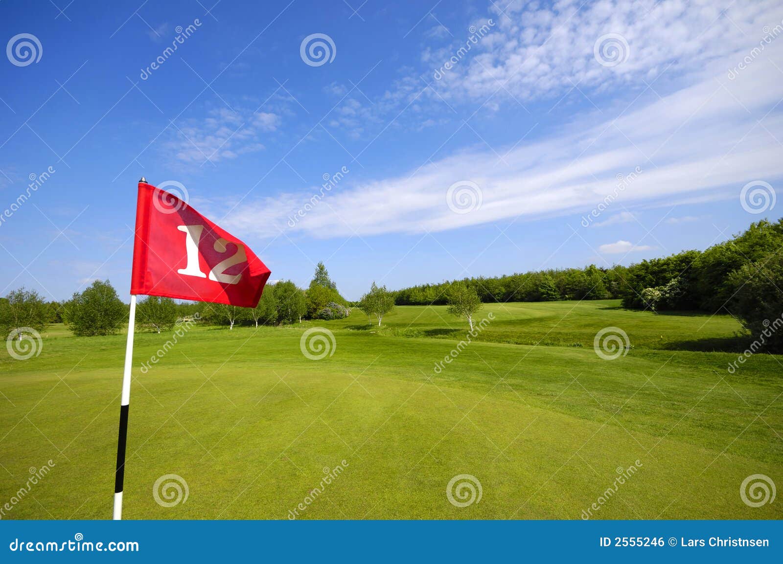 Flag on golf course stock photo. Image of field, flag - 2555246
