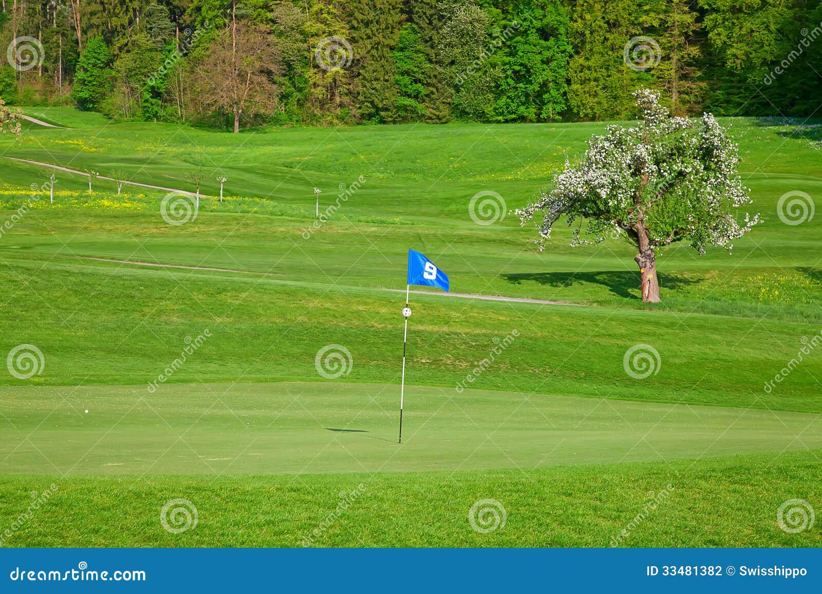 Flag on golf course stock photo. Image of hobby, relax - 33481382