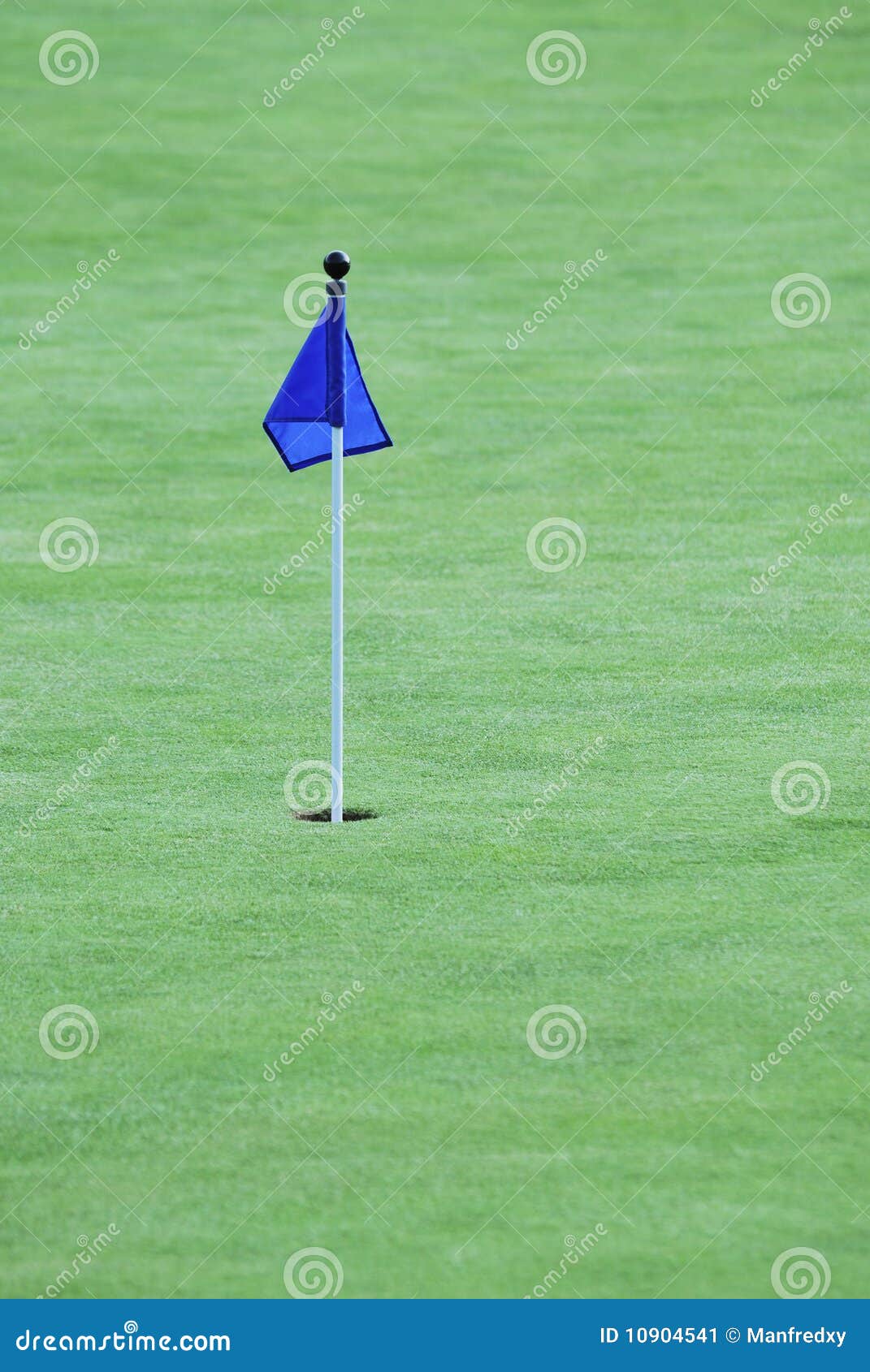 Flag on a golf green stock image. Image of field, outdoors - 10904541