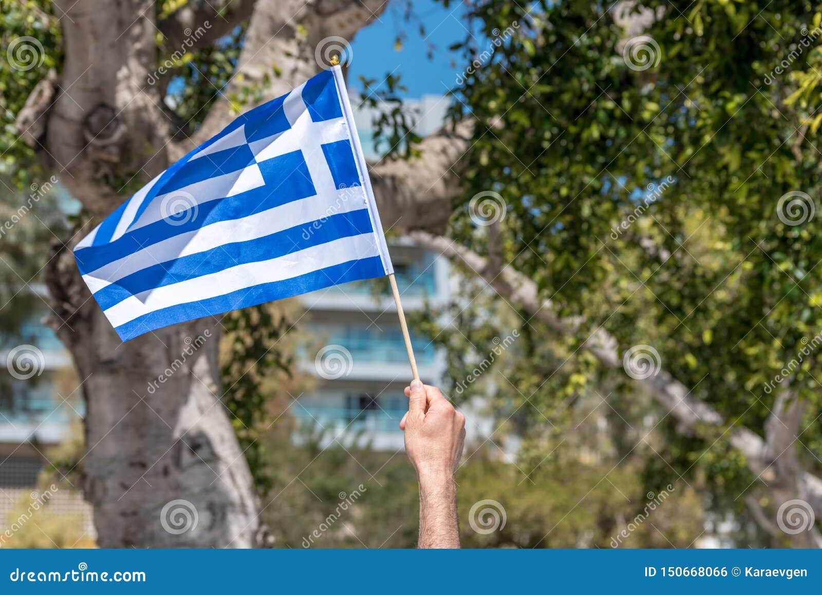 Flag of Greece in Human Hand on Trees Background Stock Photo - Image of ...