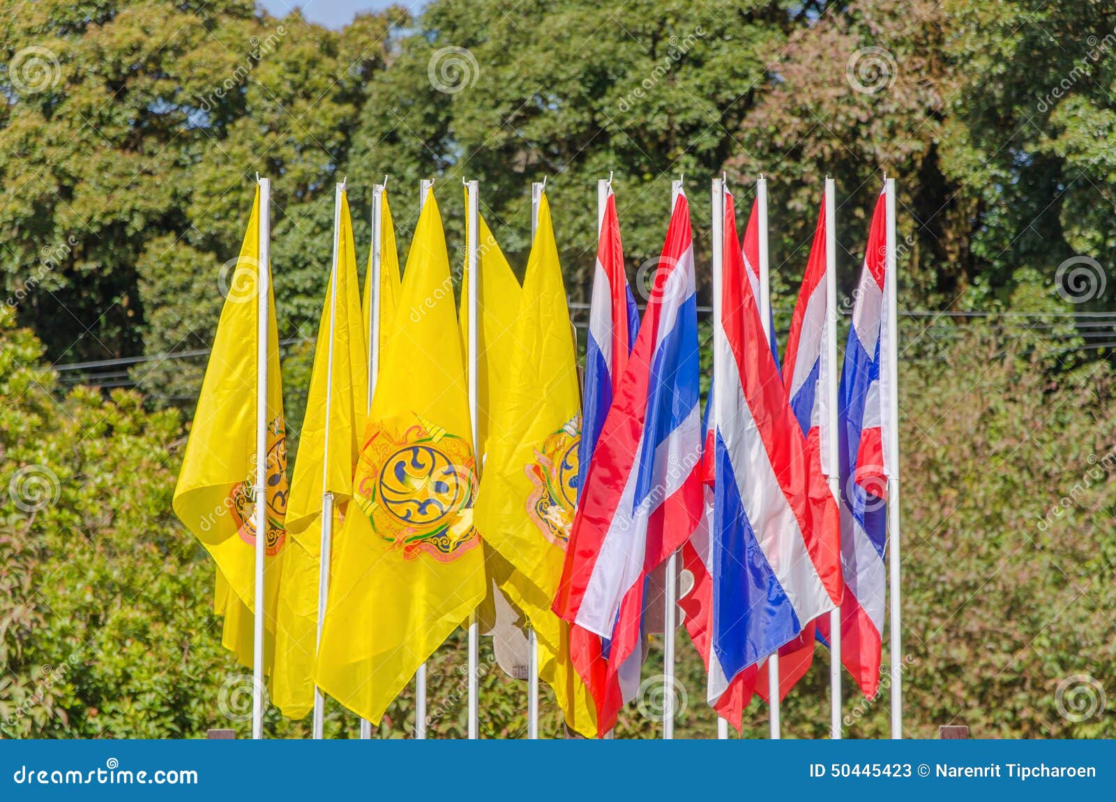 Flag of group stock image. Image of flag, white, southeast - 50445423