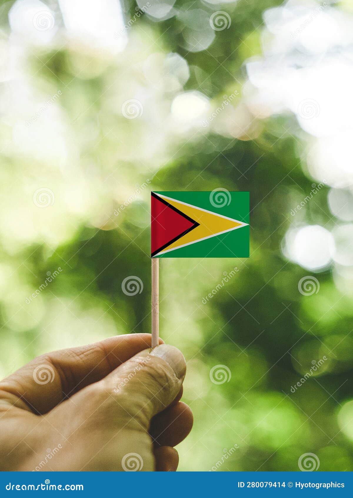 The Flag of the Guyana Which is Held in Hand. Stock Photo - Image of ...