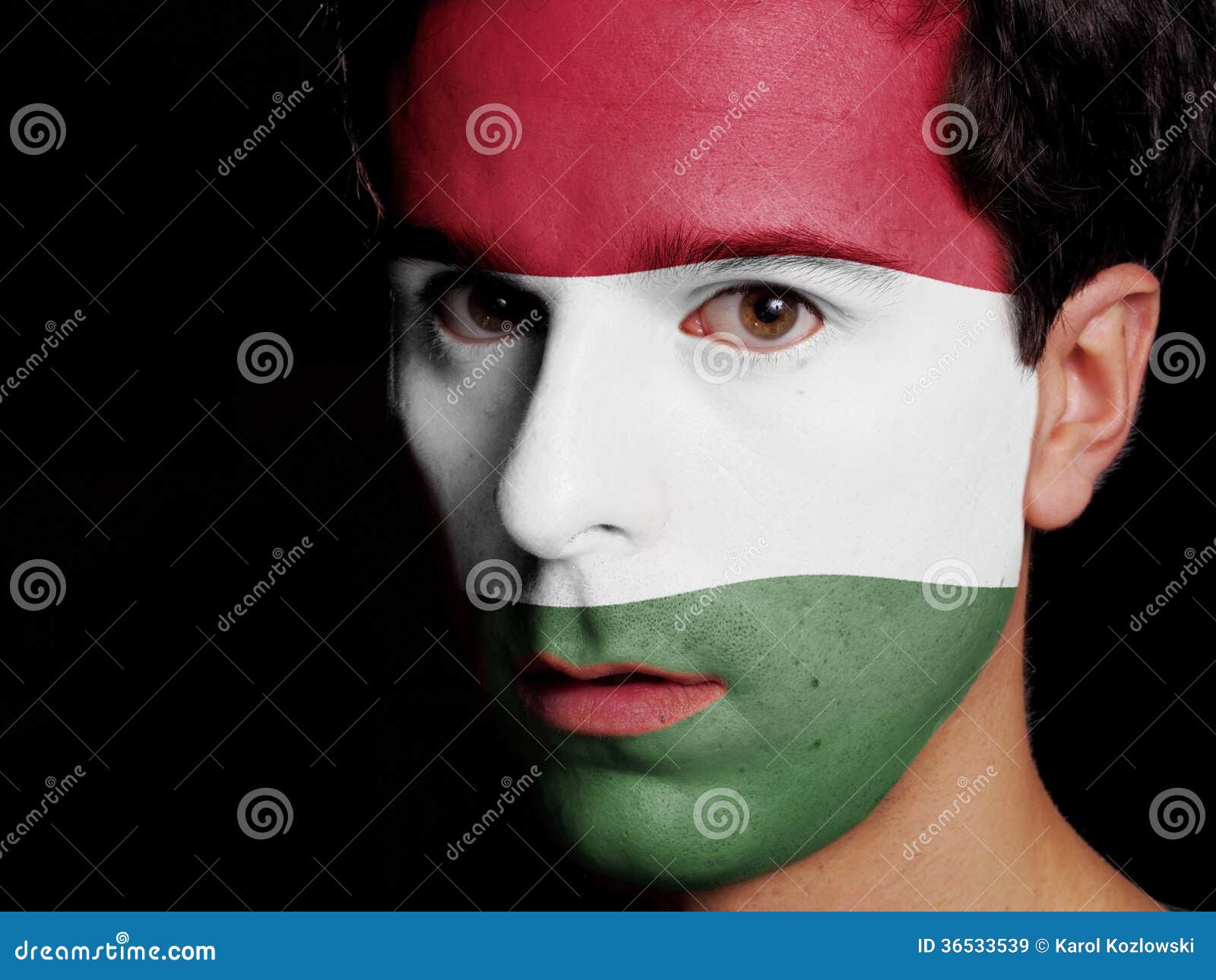 Flag of Hungary stock image. Image of culture, proud - 36533539
