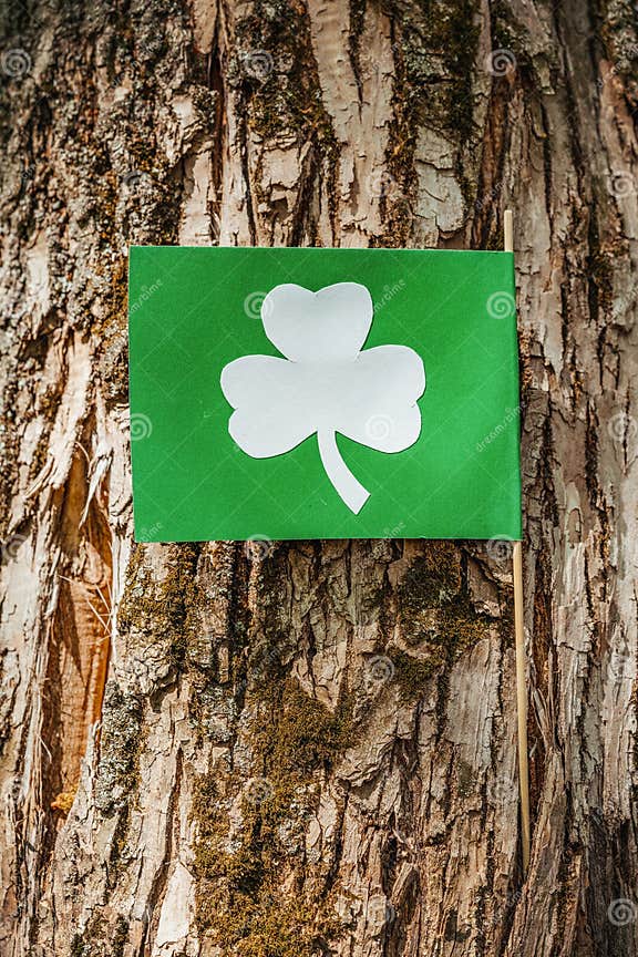 Flag with the Image of Clover on a Tree Trunk Stock Photo - Image of ...
