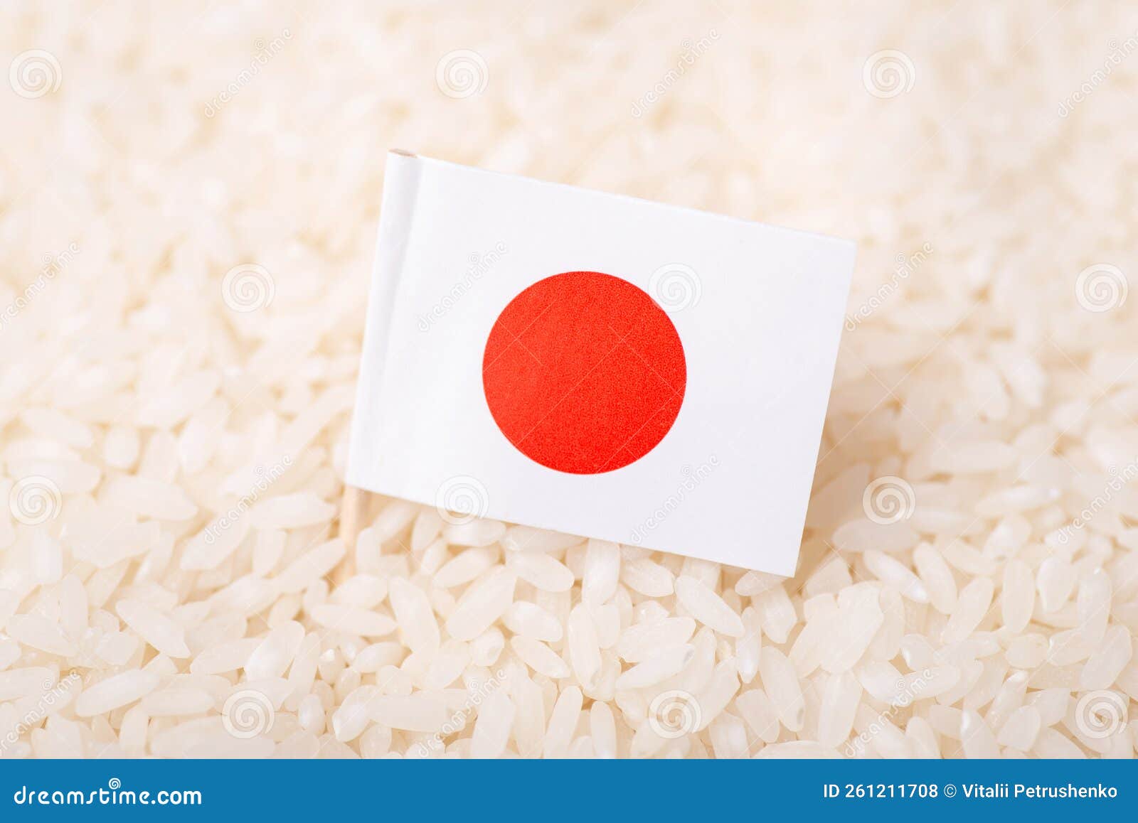 Flag of Japan in rice stock photo. Image of country - 261211708