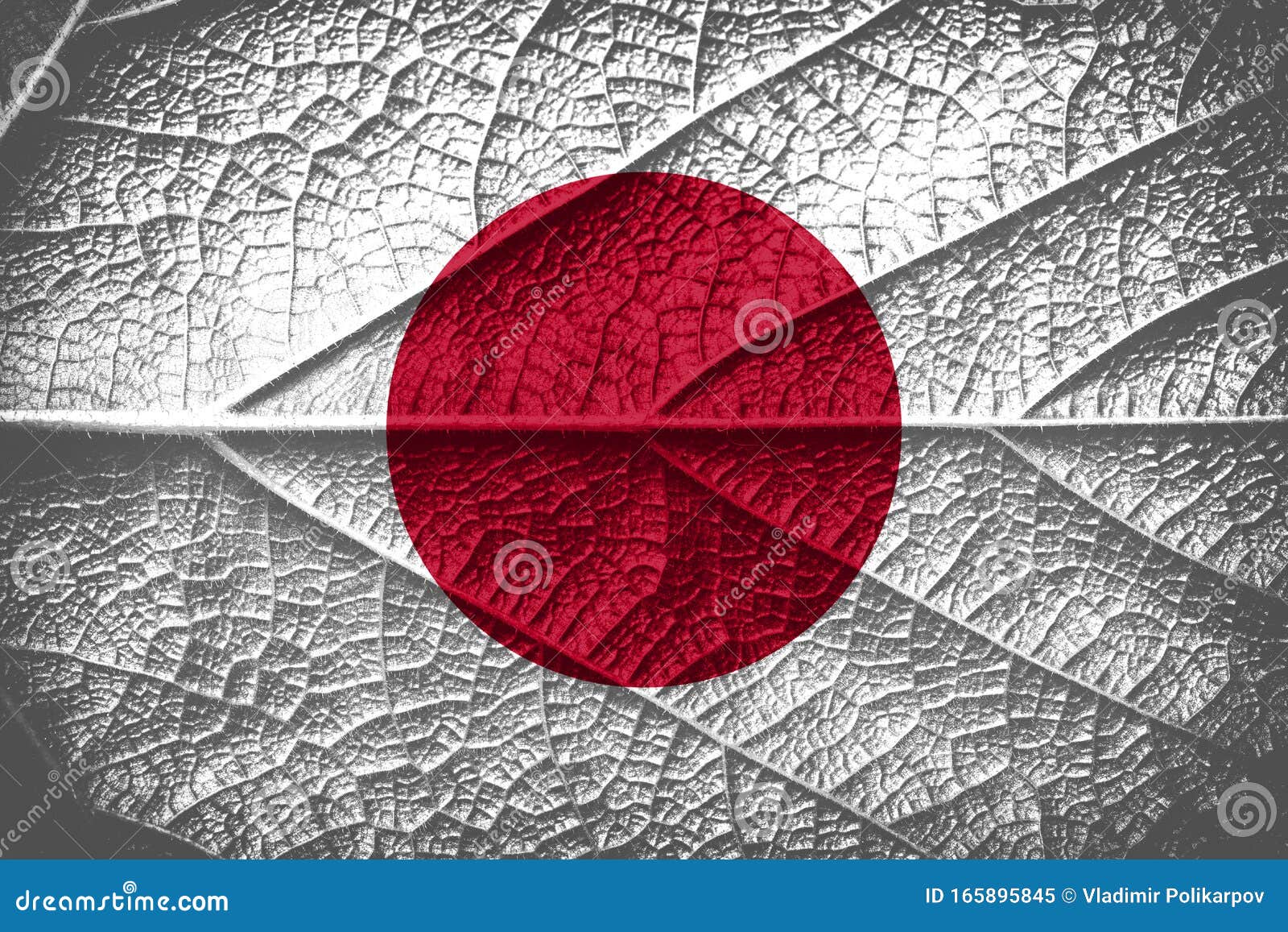 Flag of Japan with Texture. Template for Design Stock Image - Image of ...